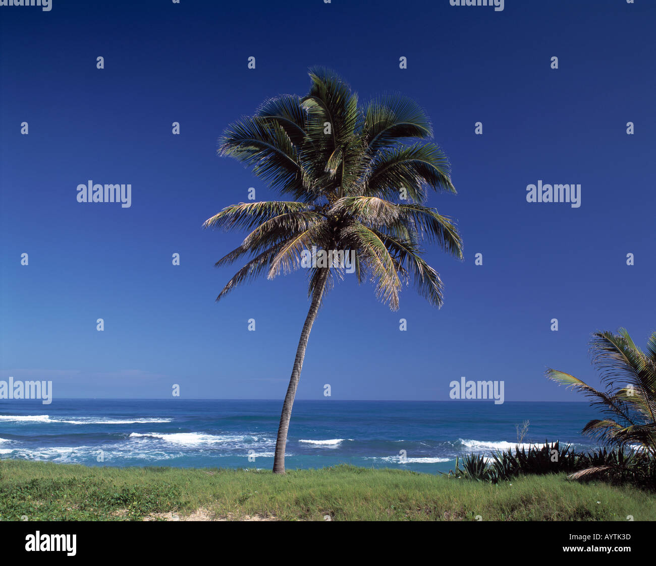 Playa cabarete strand hi-res stock photography and images - Alamy