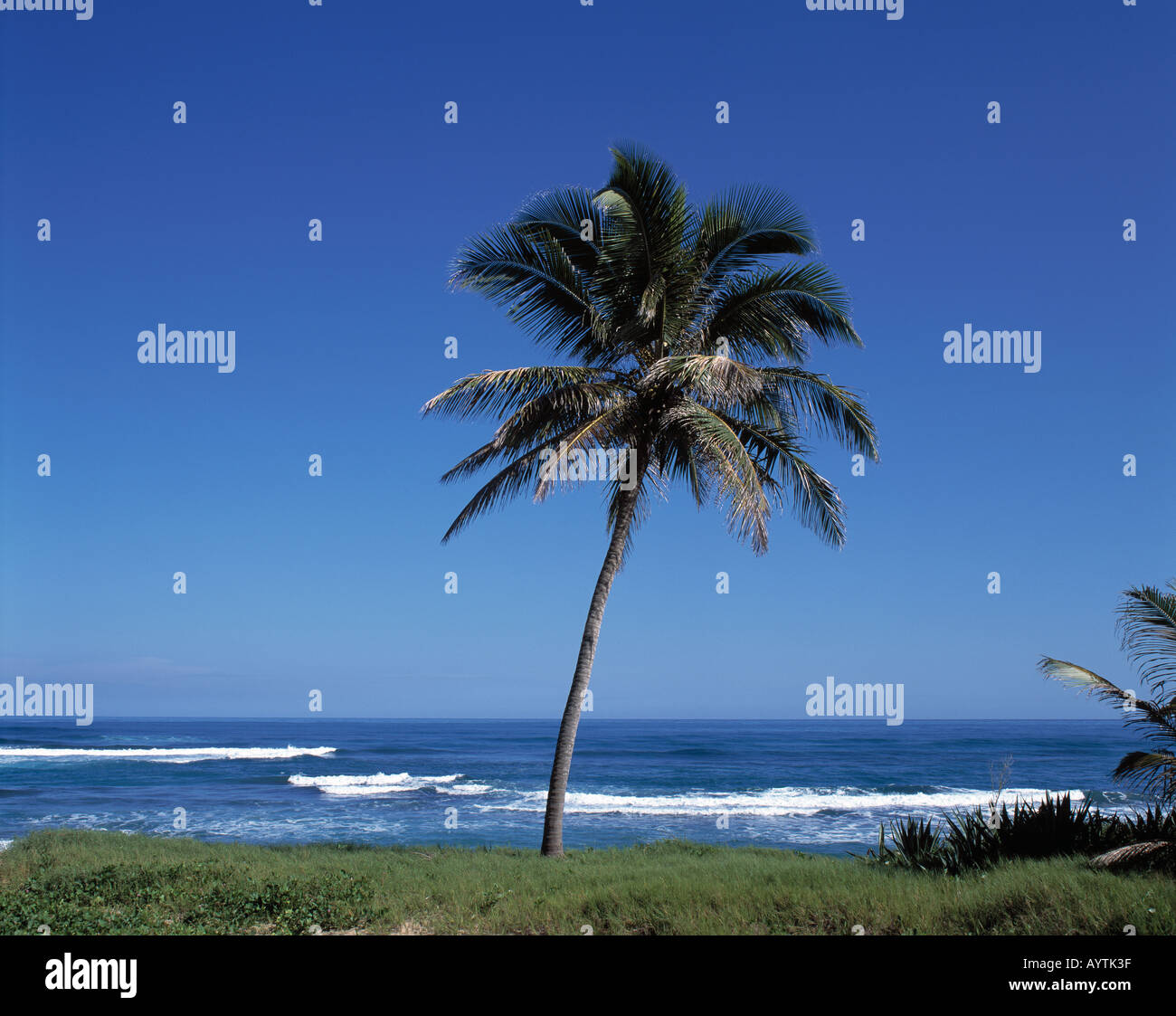 Playa cabarete strand hi-res stock photography and images - Alamy