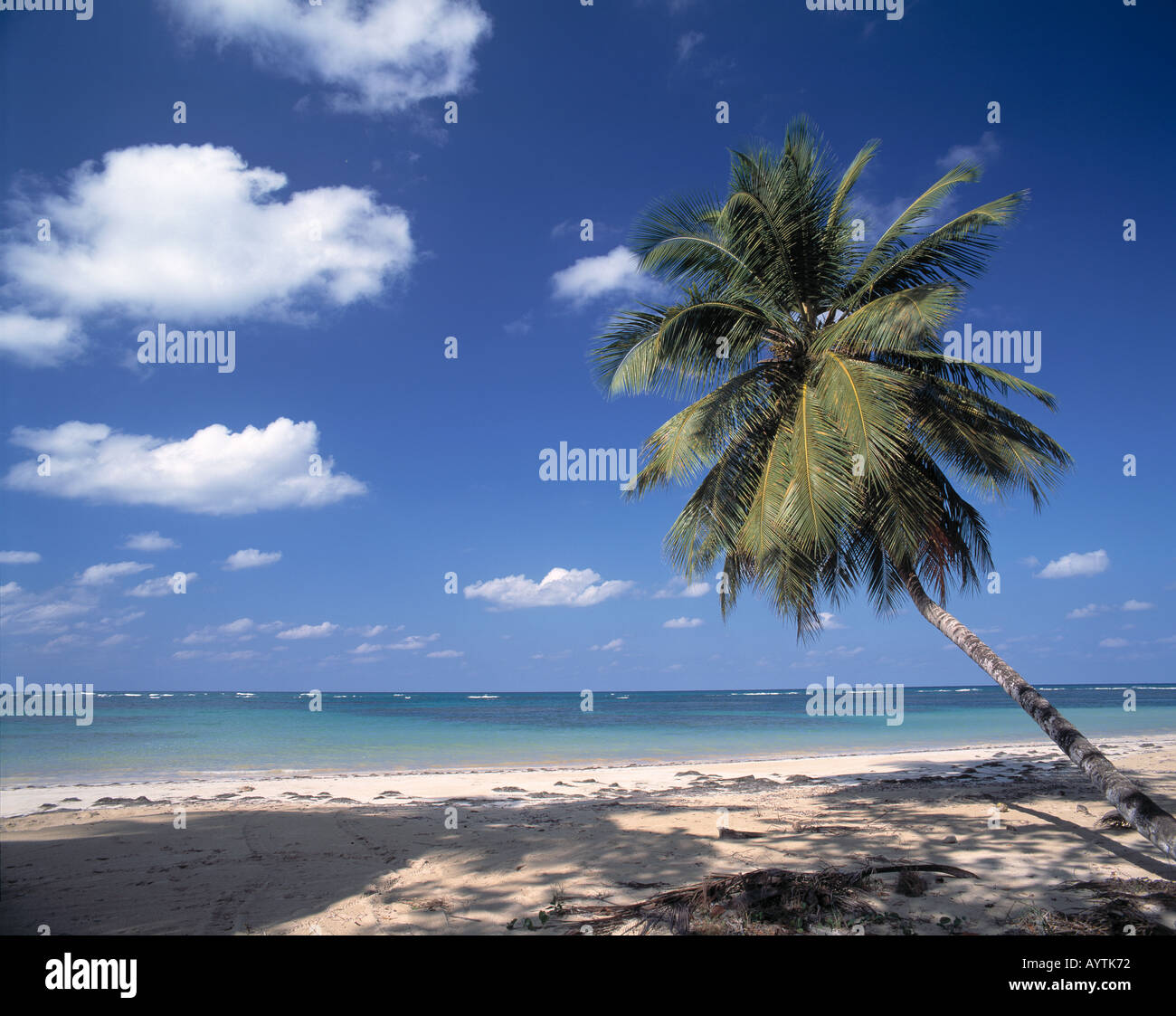 Samana Halbinsel High Resolution Stock Photography and Images - Alamy