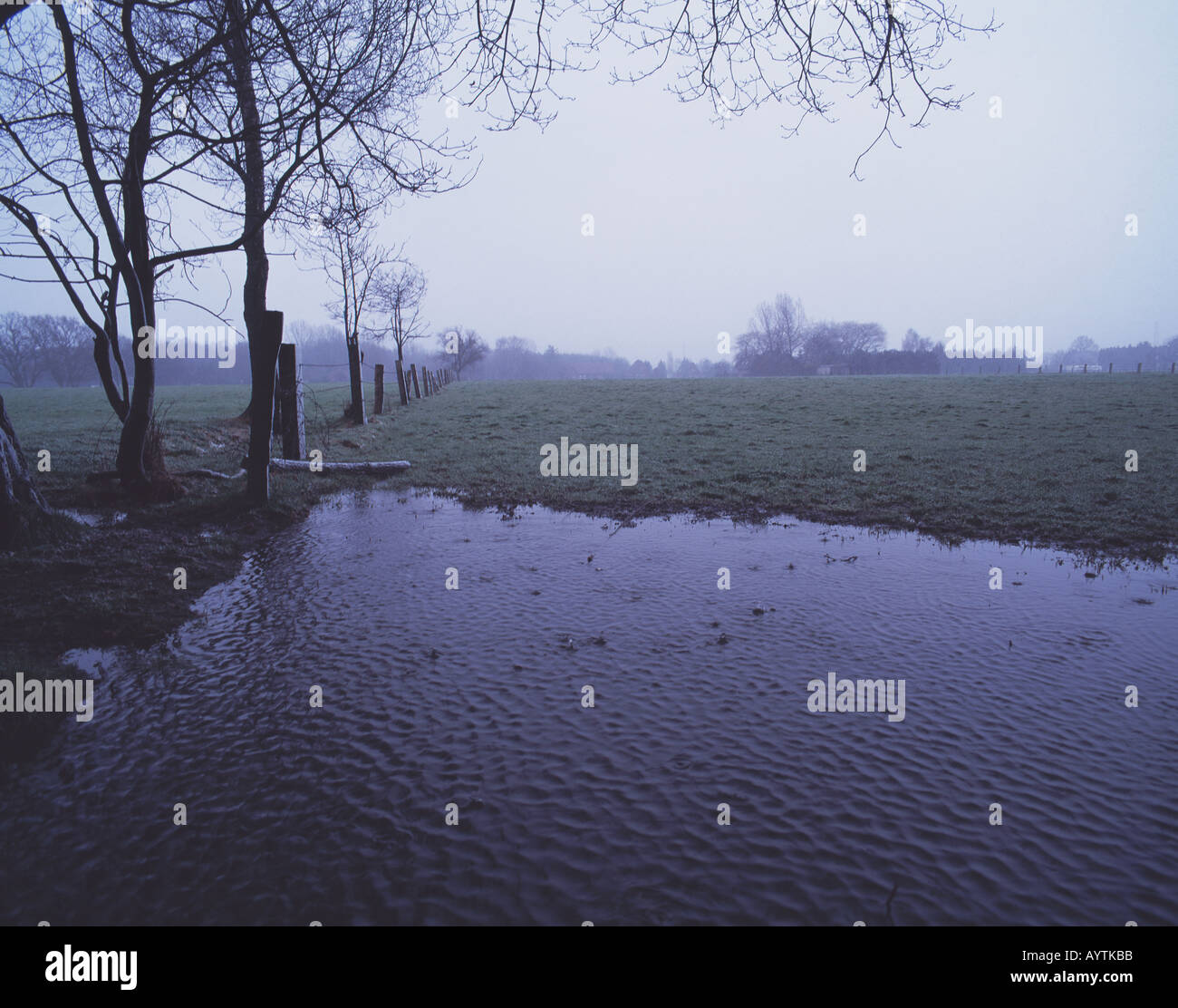 agrarian country, farmland, tree, trees, wooden fence, puddles, bad ...