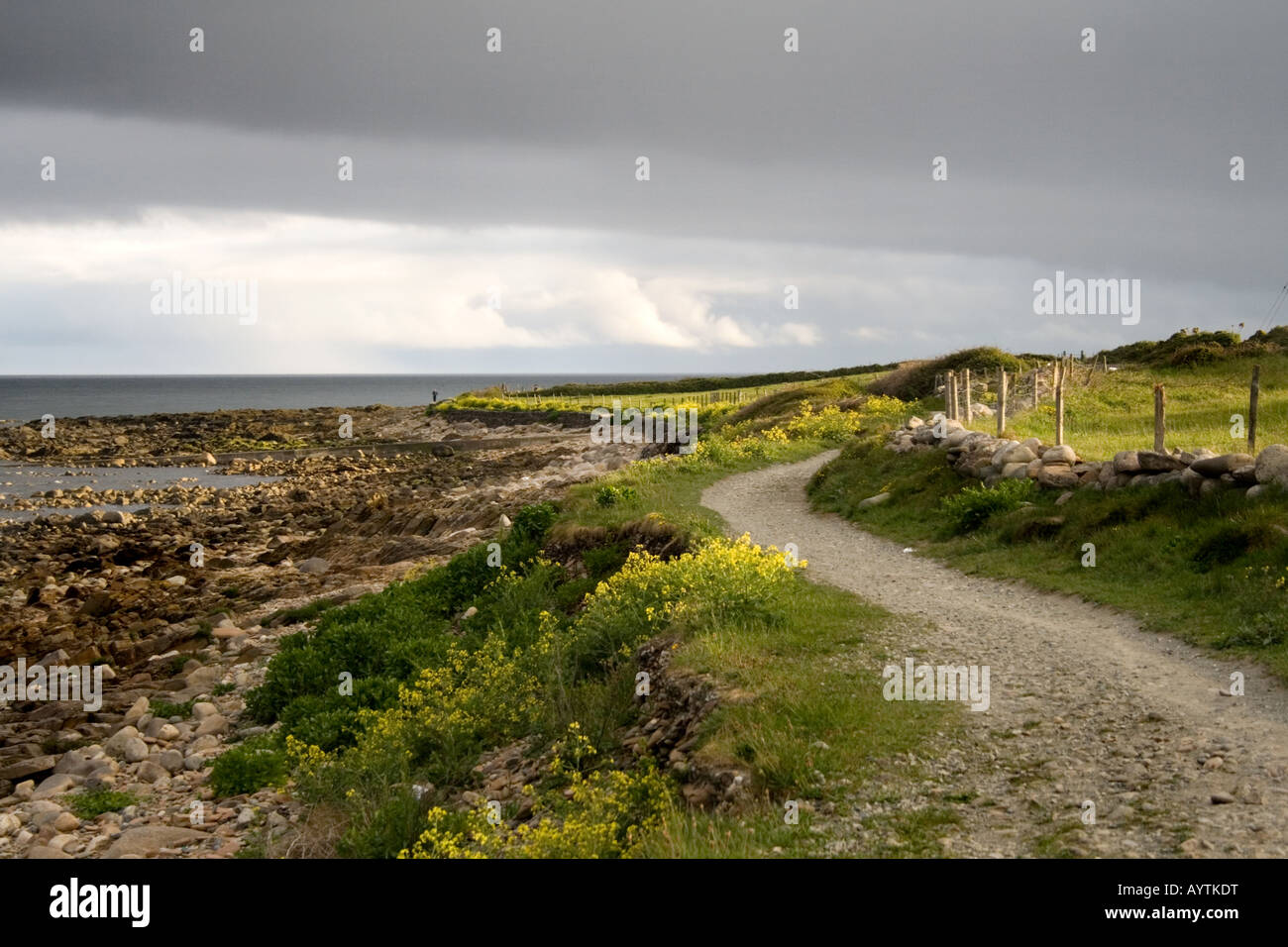 Annalong beach hi-res stock photography and images - Alamy