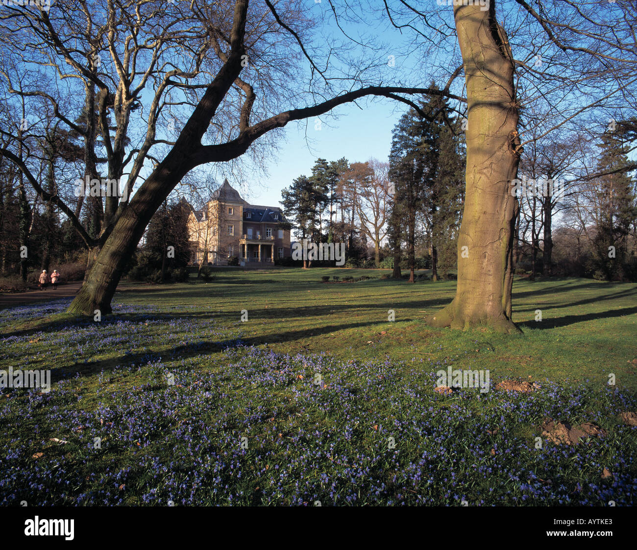 Schlosspark mit Schloss Garath im Fruehling, Schlossgarten, bluehende ...