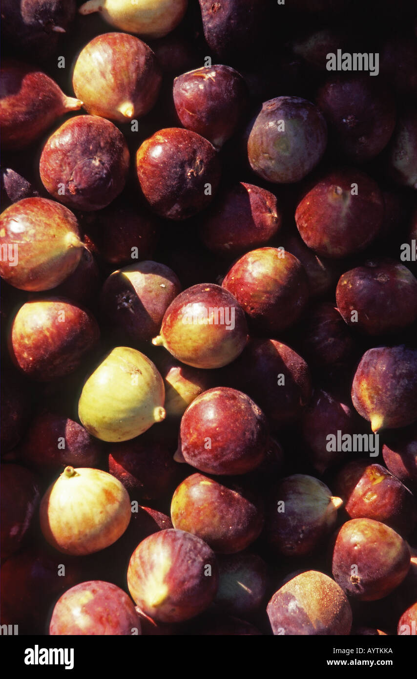 Cyprus figs hi-res stock photography and images - Alamy