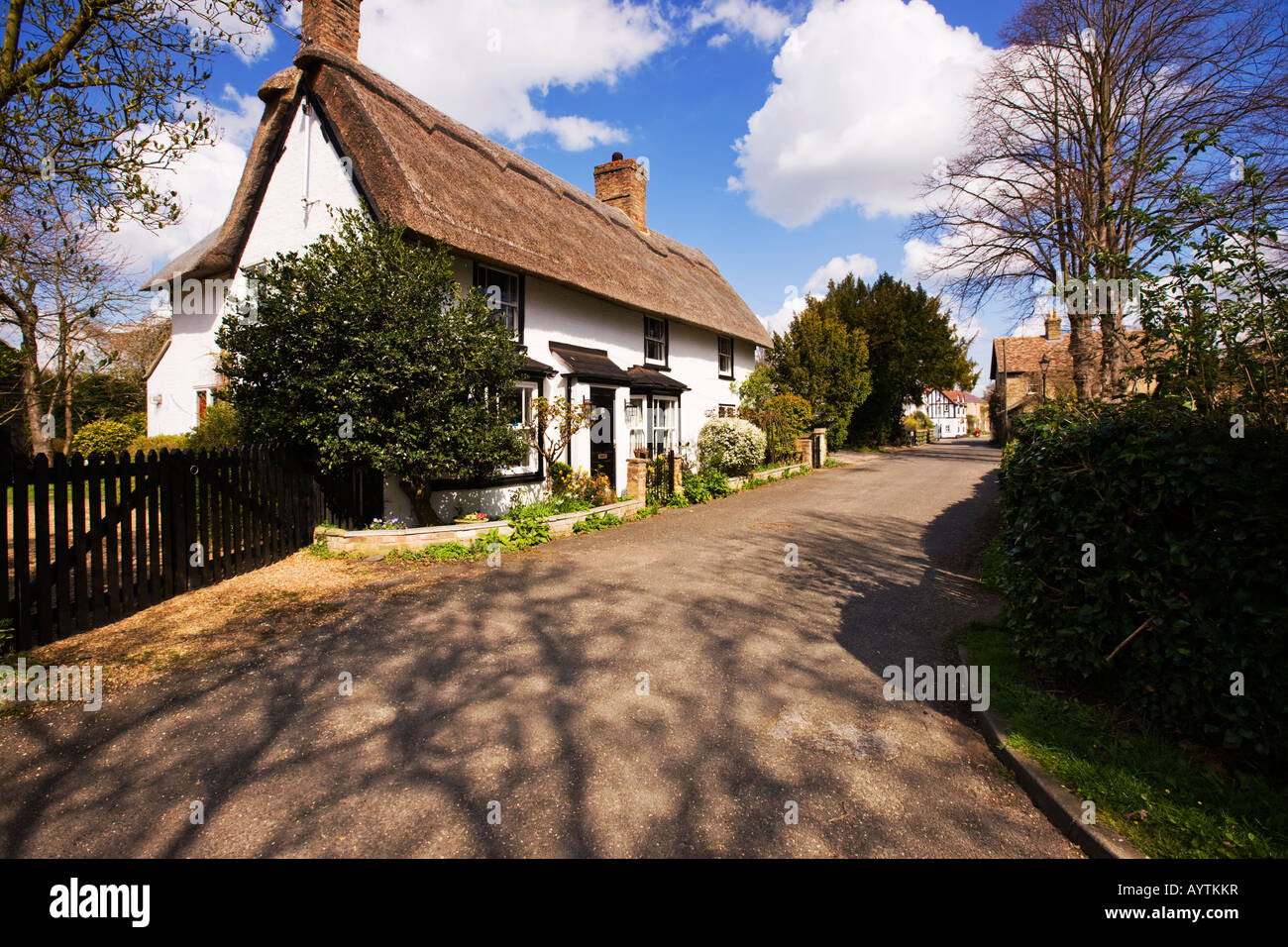 A Traditional English Thatched Country Cottage In A Quite Village Rural ...