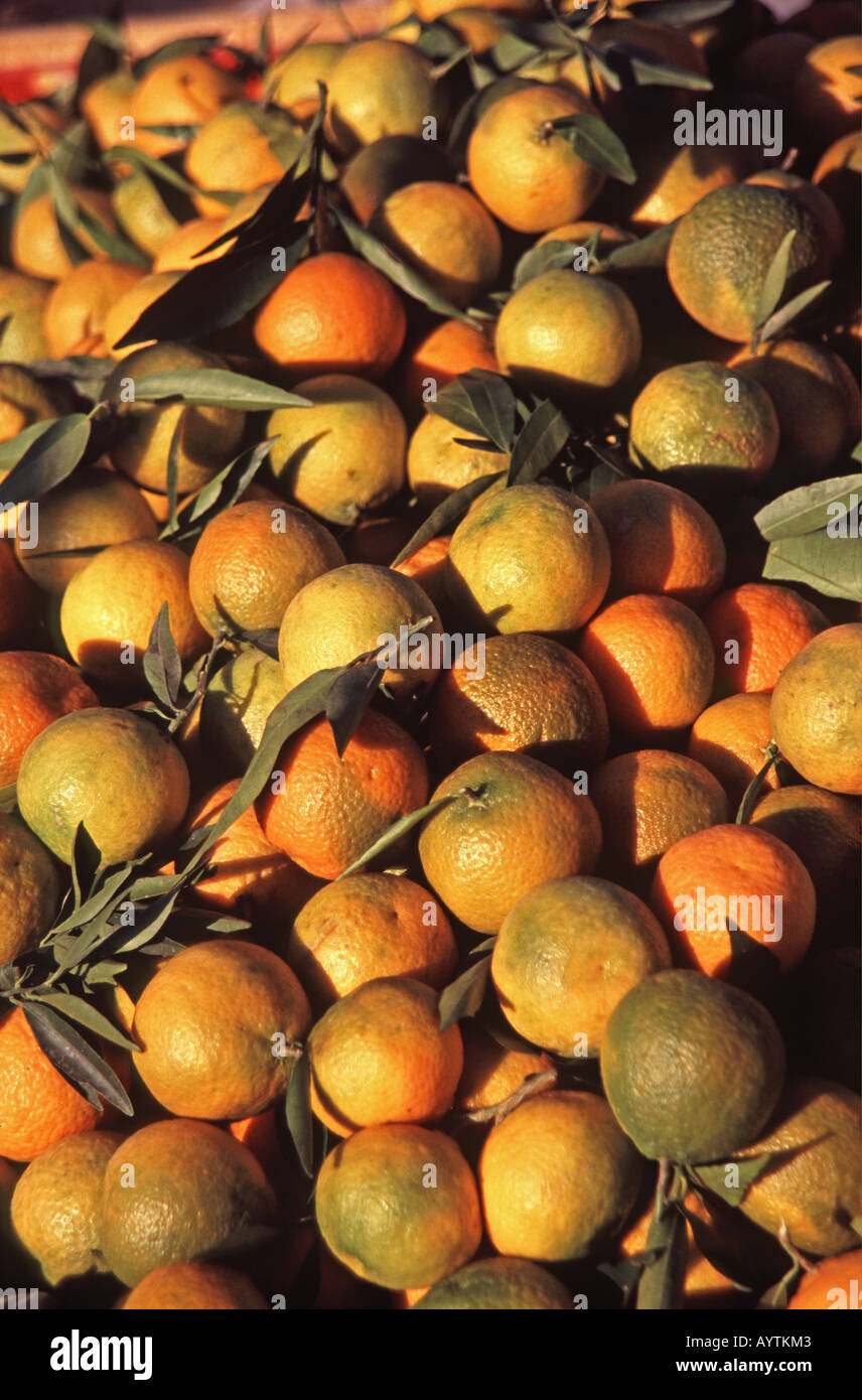 CYPRUS A crate of new season oranges at Nicosia market Stock Photo - Alamy