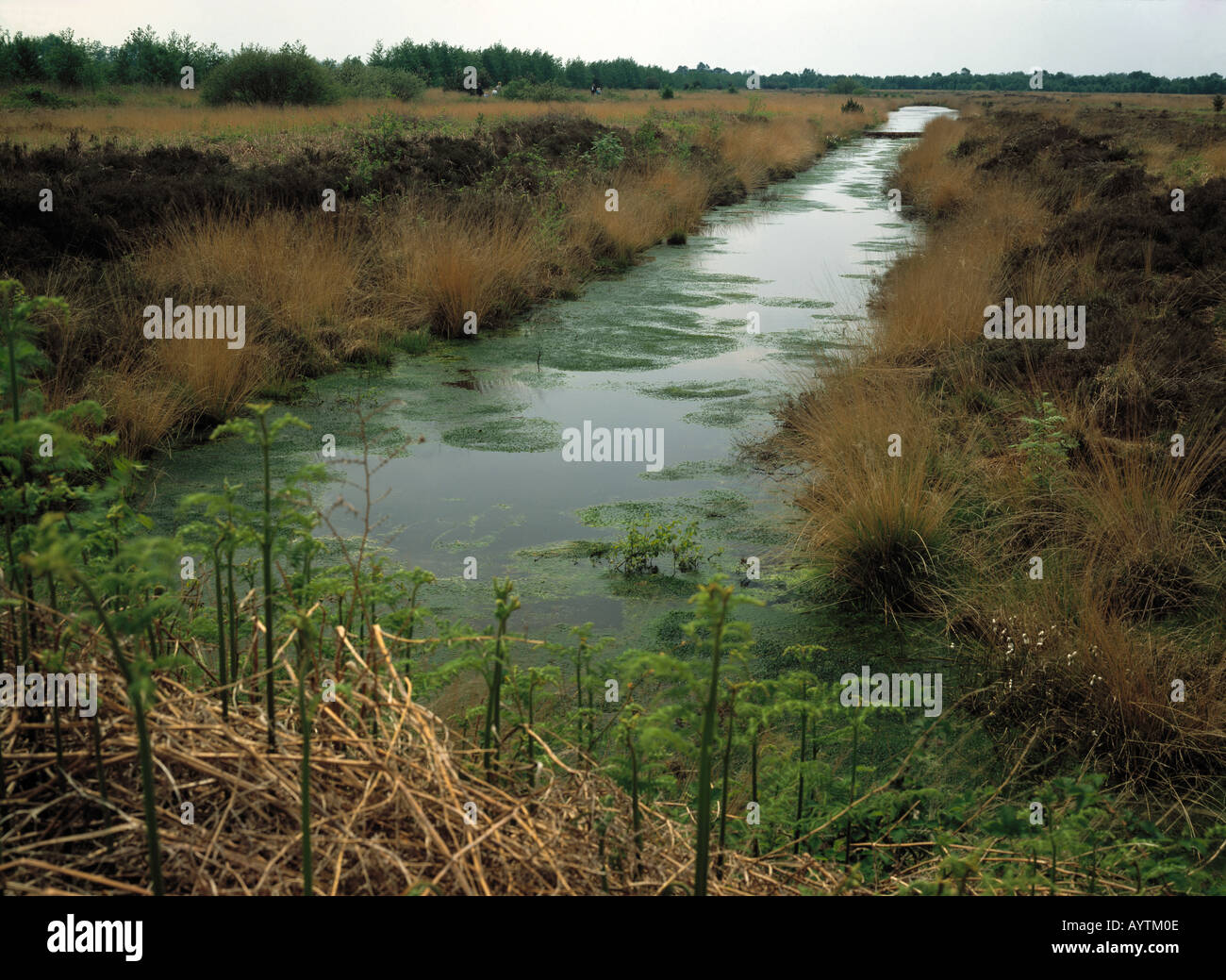 Bourtangen hi-res stock photography and images - Alamy
