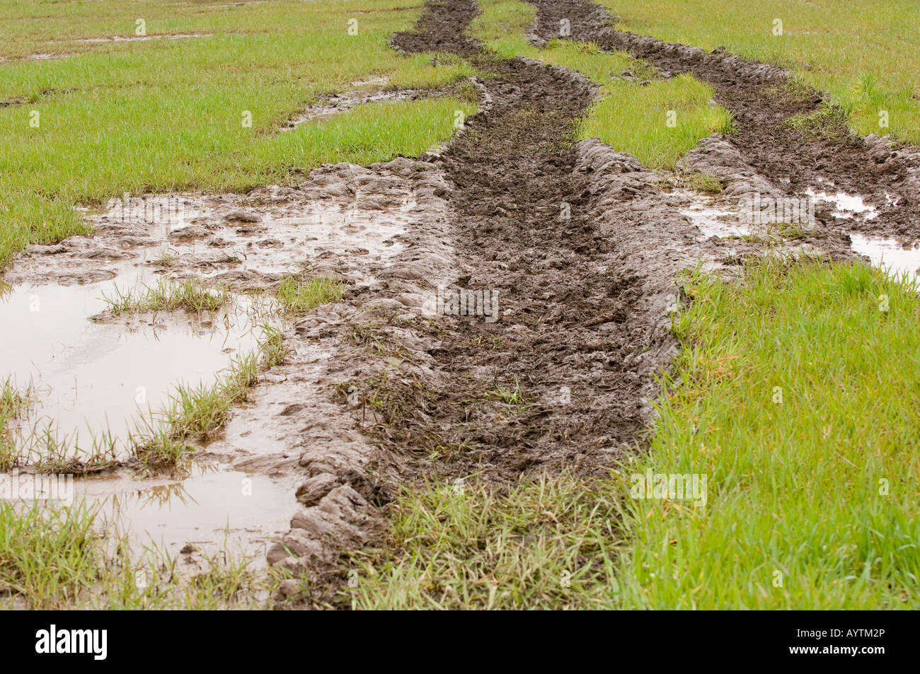 Wet muddy field hi-res stock photography and images - Alamy