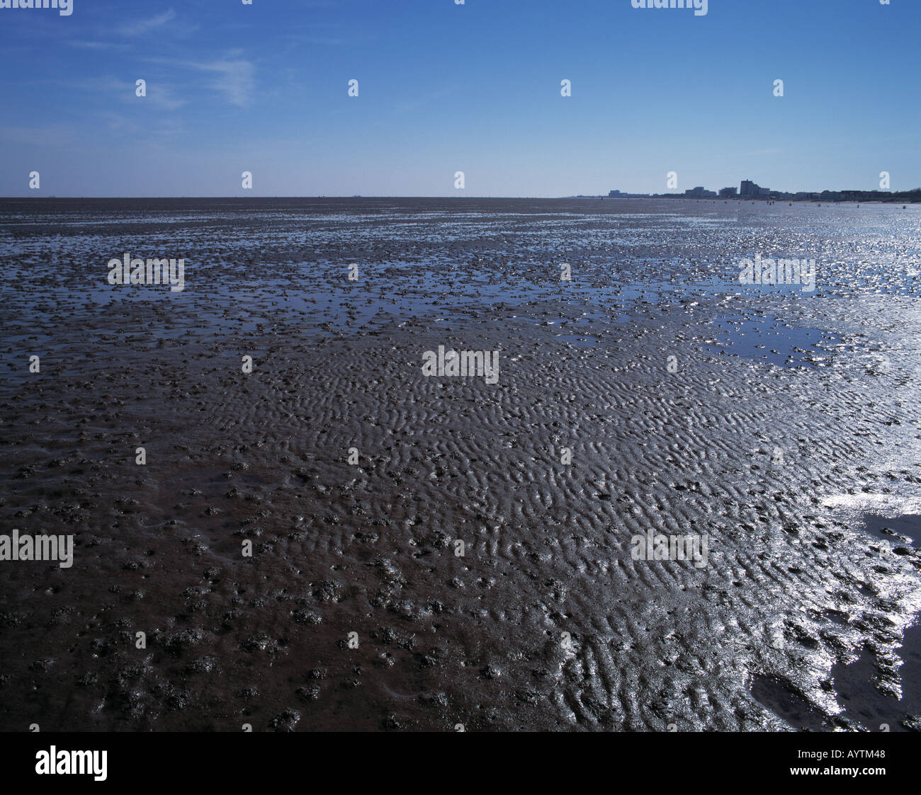 Wattenmeer bei Ebbe, Duhner Watt, Cuxhaven, Seebad, Nordsee ...