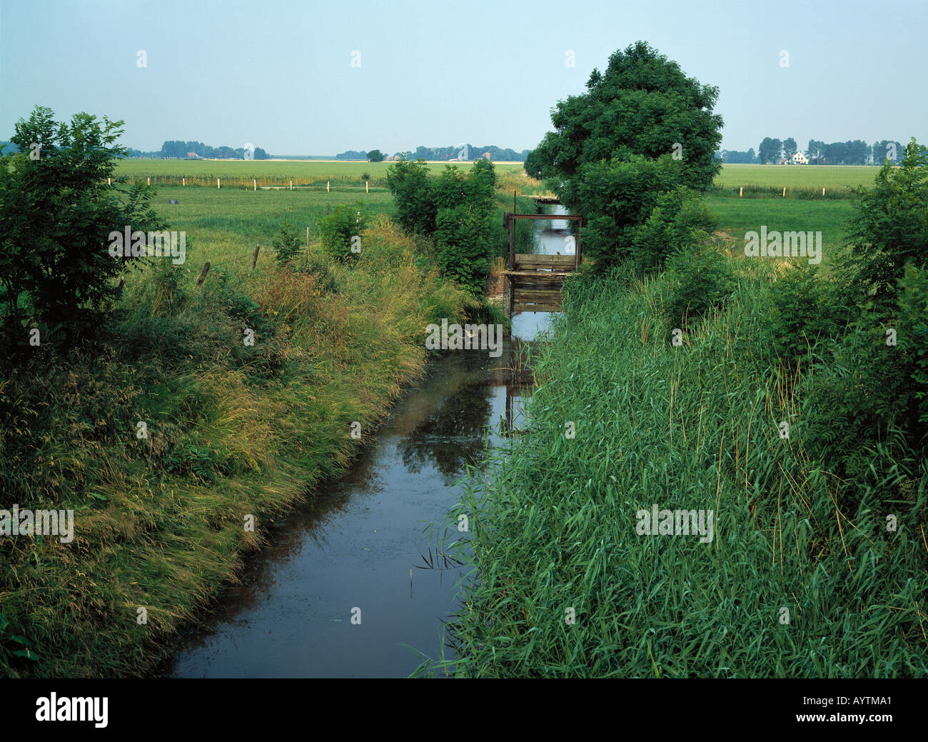 Wiese marschlandschaft hi-res stock photography and images - Alamy