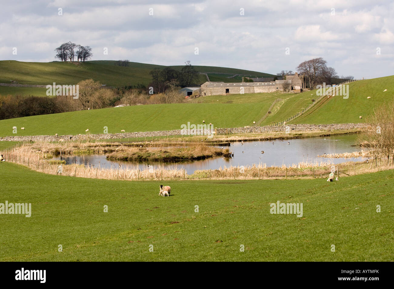 Land fenced off hi-res stock photography and images - Alamy