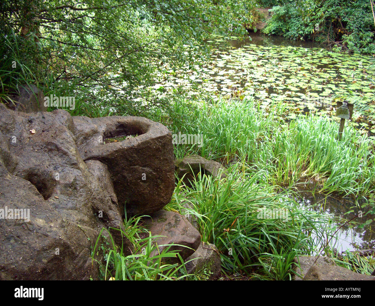 A pond in Epping Forest Stock Photo - Alamy
