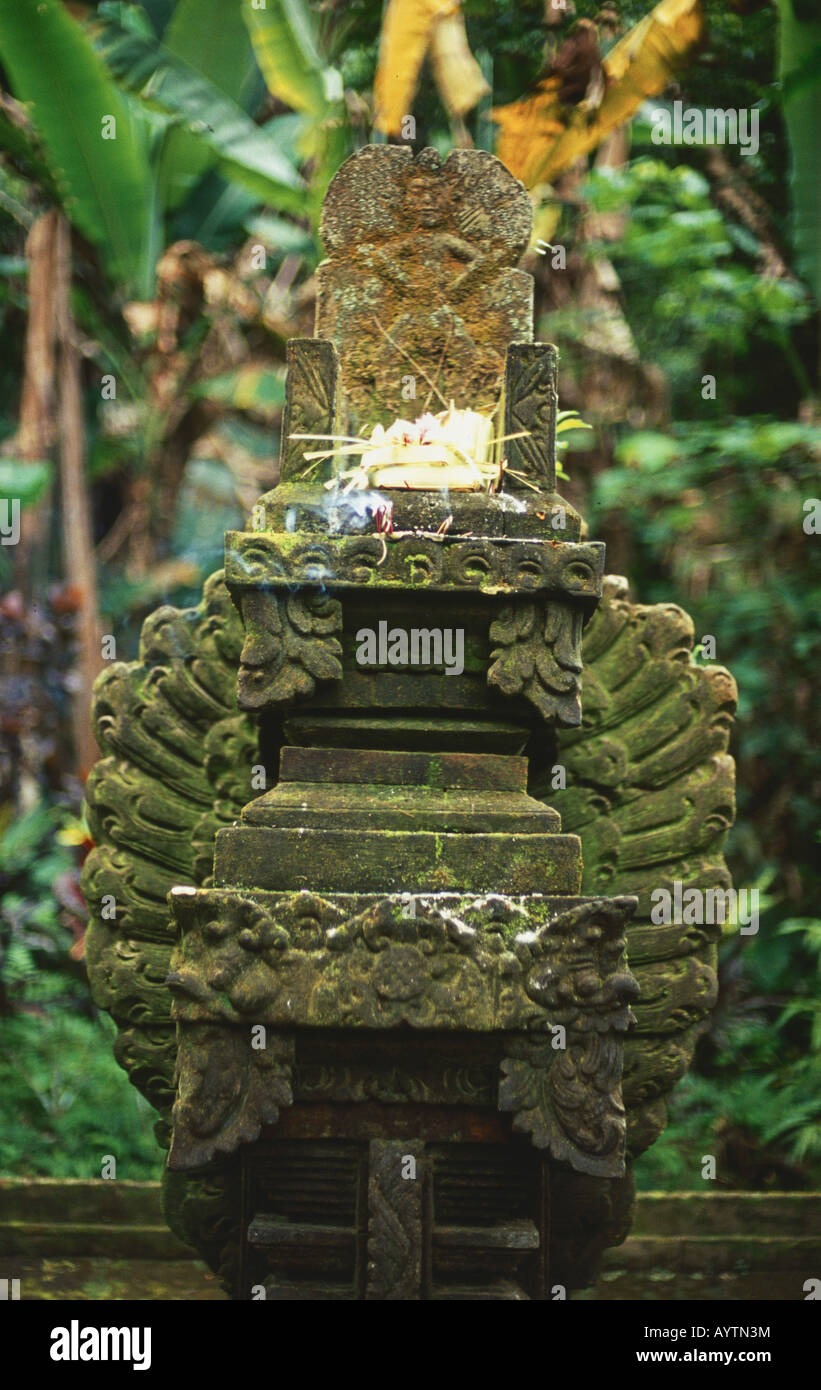 Batukaru jungle hi-res stock photography and images - Alamy