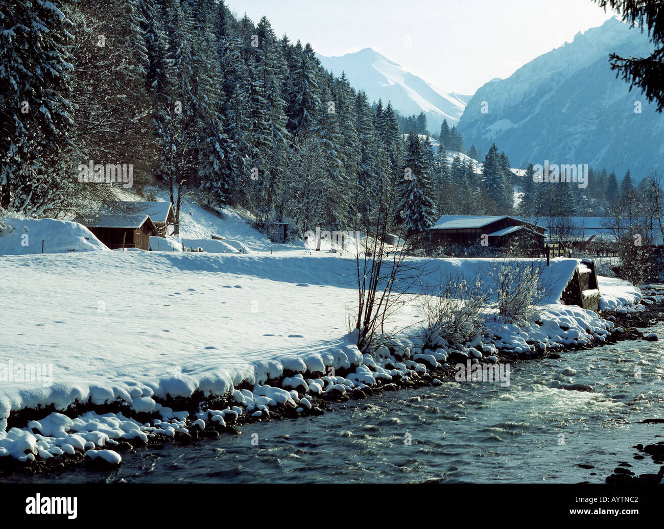 schneebedeckte Winterlandschaft, verschneiter Winterwald, Nadelbaeume ...