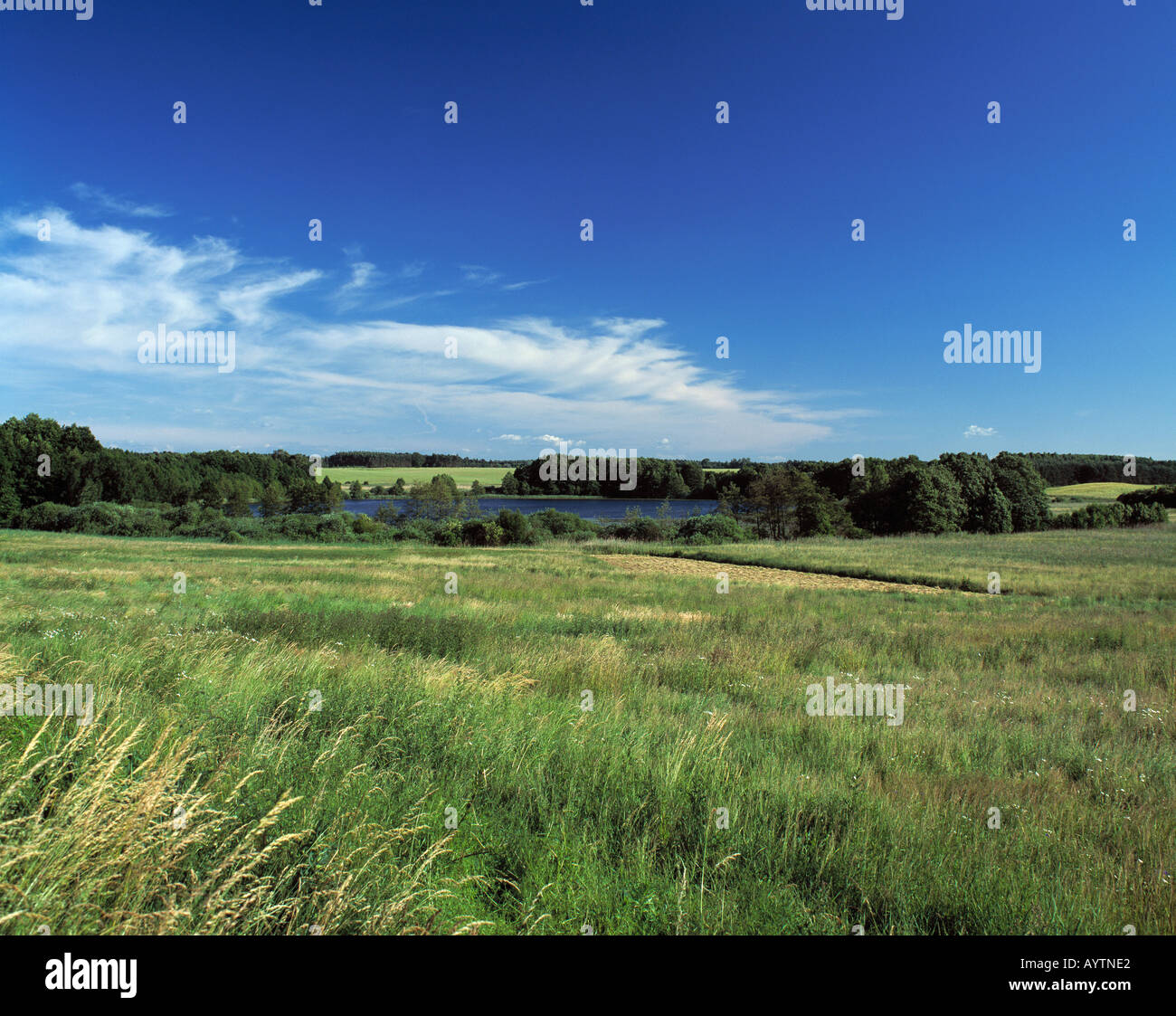 Uckermark landschaft hi-res stock photography and images - Alamy