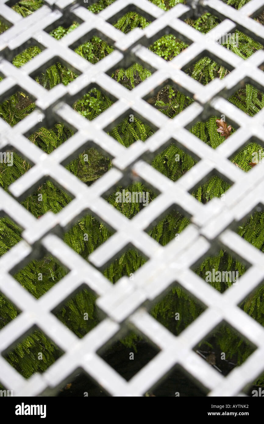 Metal grid diamond shape over green grass Stock Photo - Alamy
