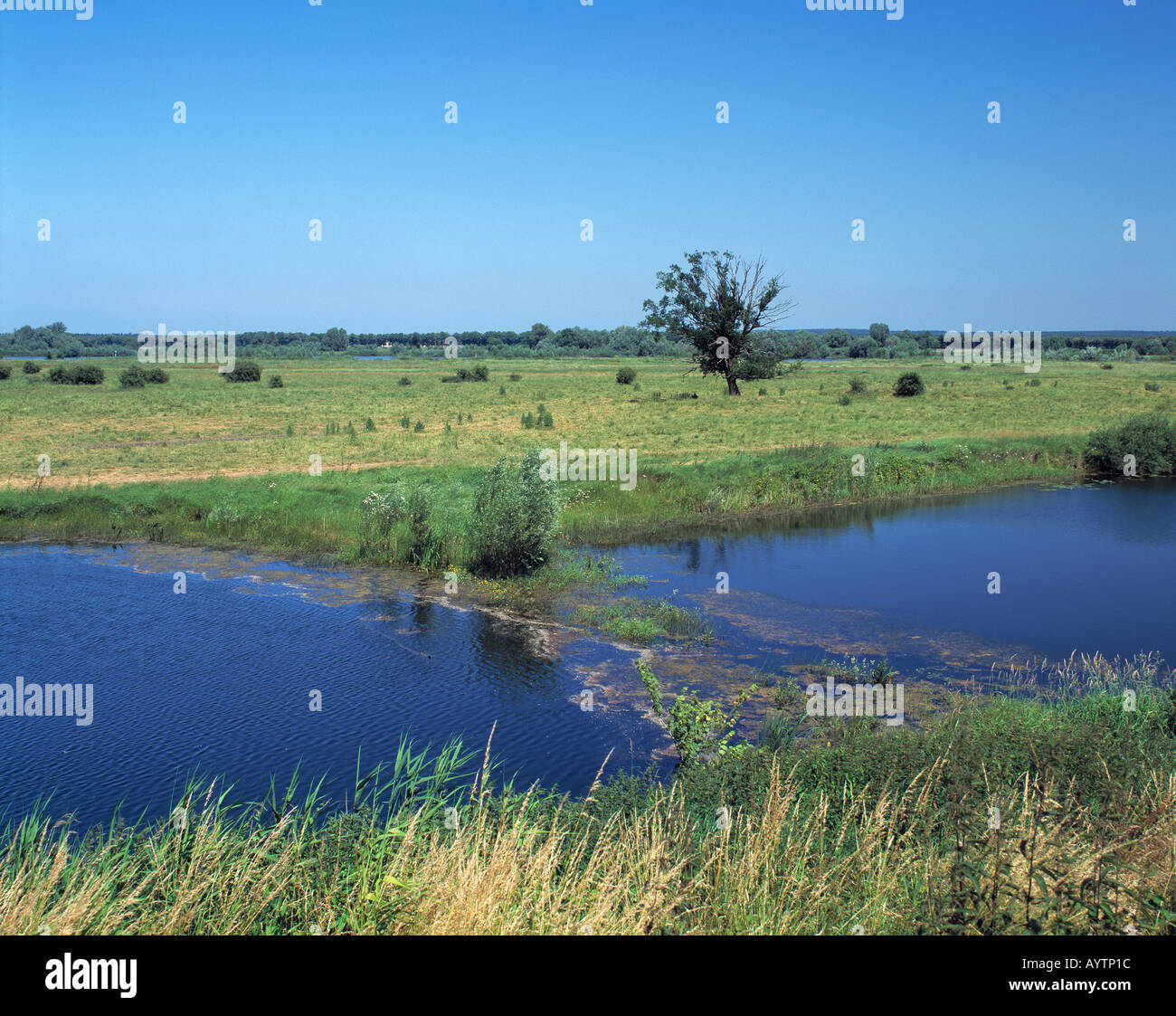 Fluss deutschland aue hi-res stock photography and images - Alamy