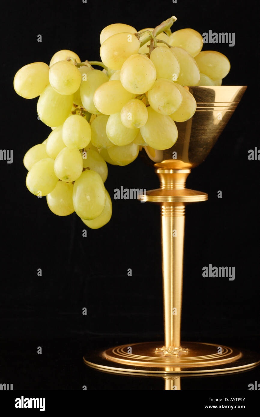 Grapes in calyx on dark background Stock Photo - Alamy