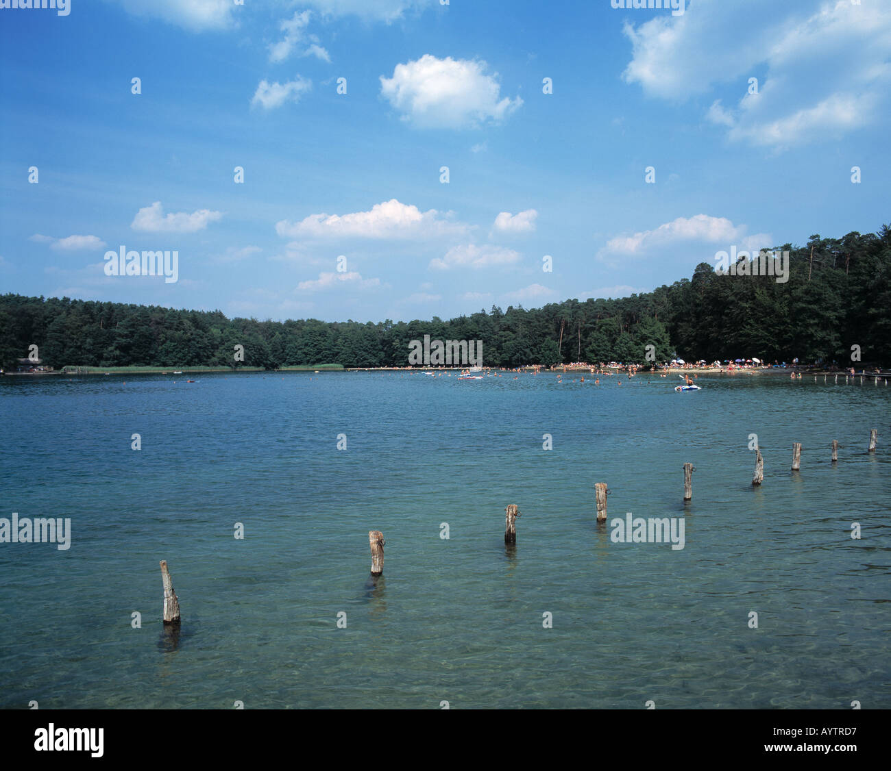 Grosser Stechlinsee in der Mecklenburgischen Seenplatte bei Neuglobsow ...