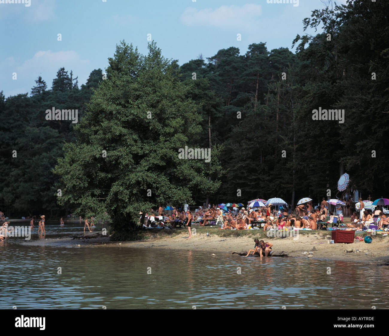 Stechlin see hi-res stock photography and images - Alamy