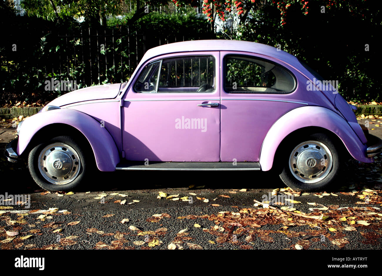 Classic 1960s Volkswagen Beetle on London street Stock Photo - Alamy
