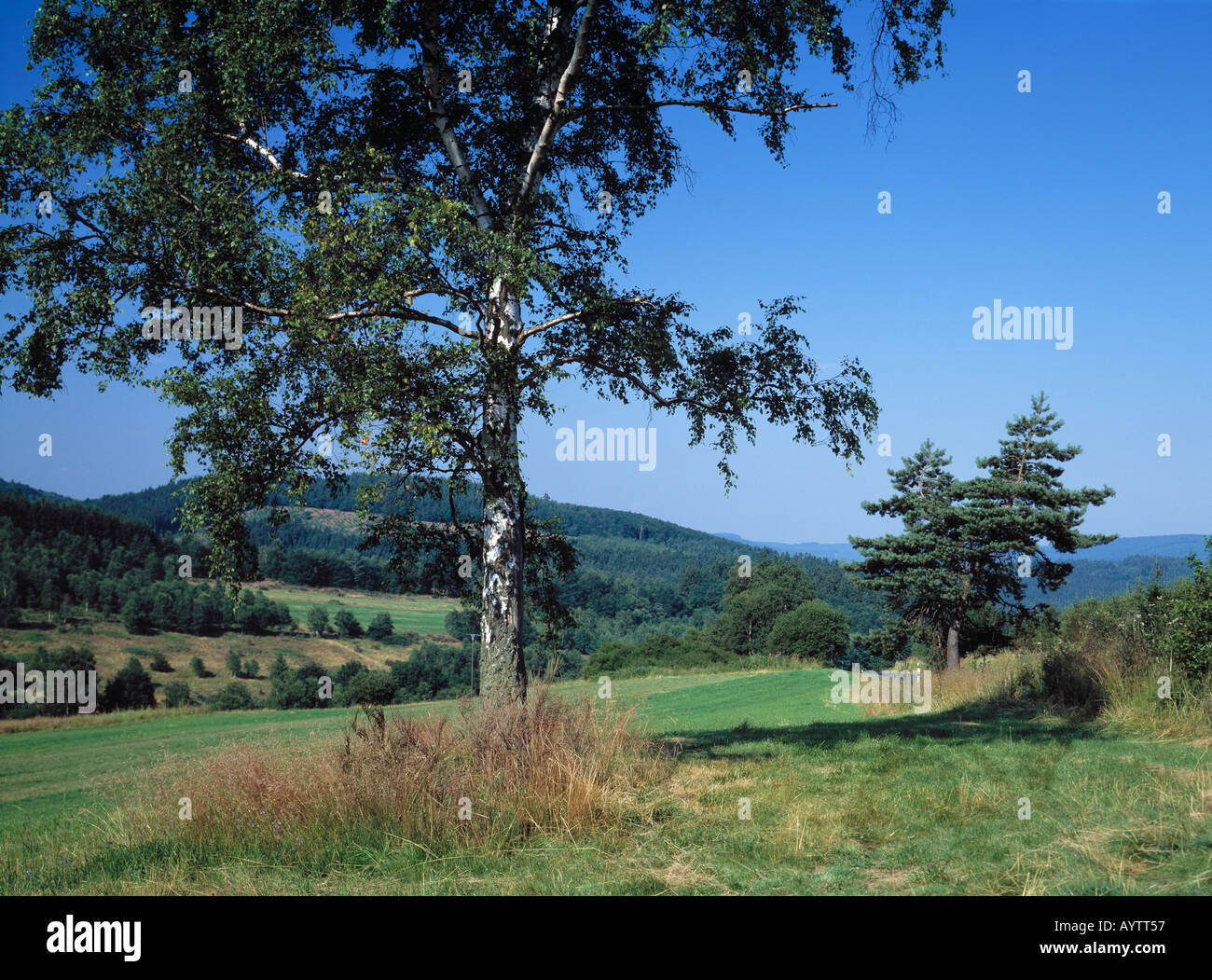 Burbach siegerland hi-res stock photography and images - Alamy