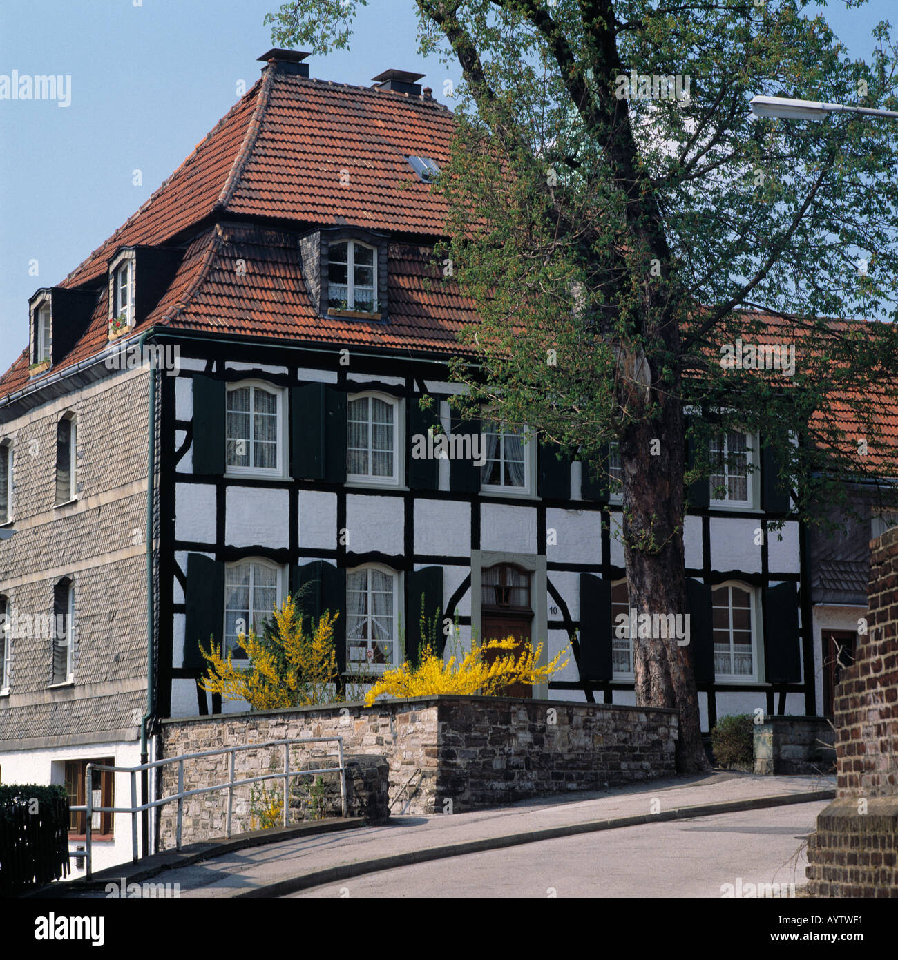 Fachwerkhaus an einer Strassenkurve, Fruehling, Bluete, bluehender ...