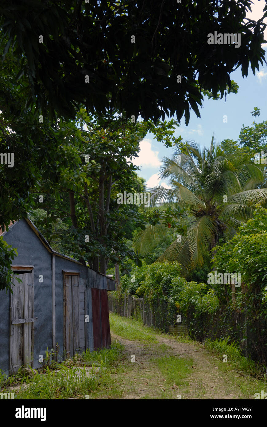 street on a tropical island Stock Photo - Alamy