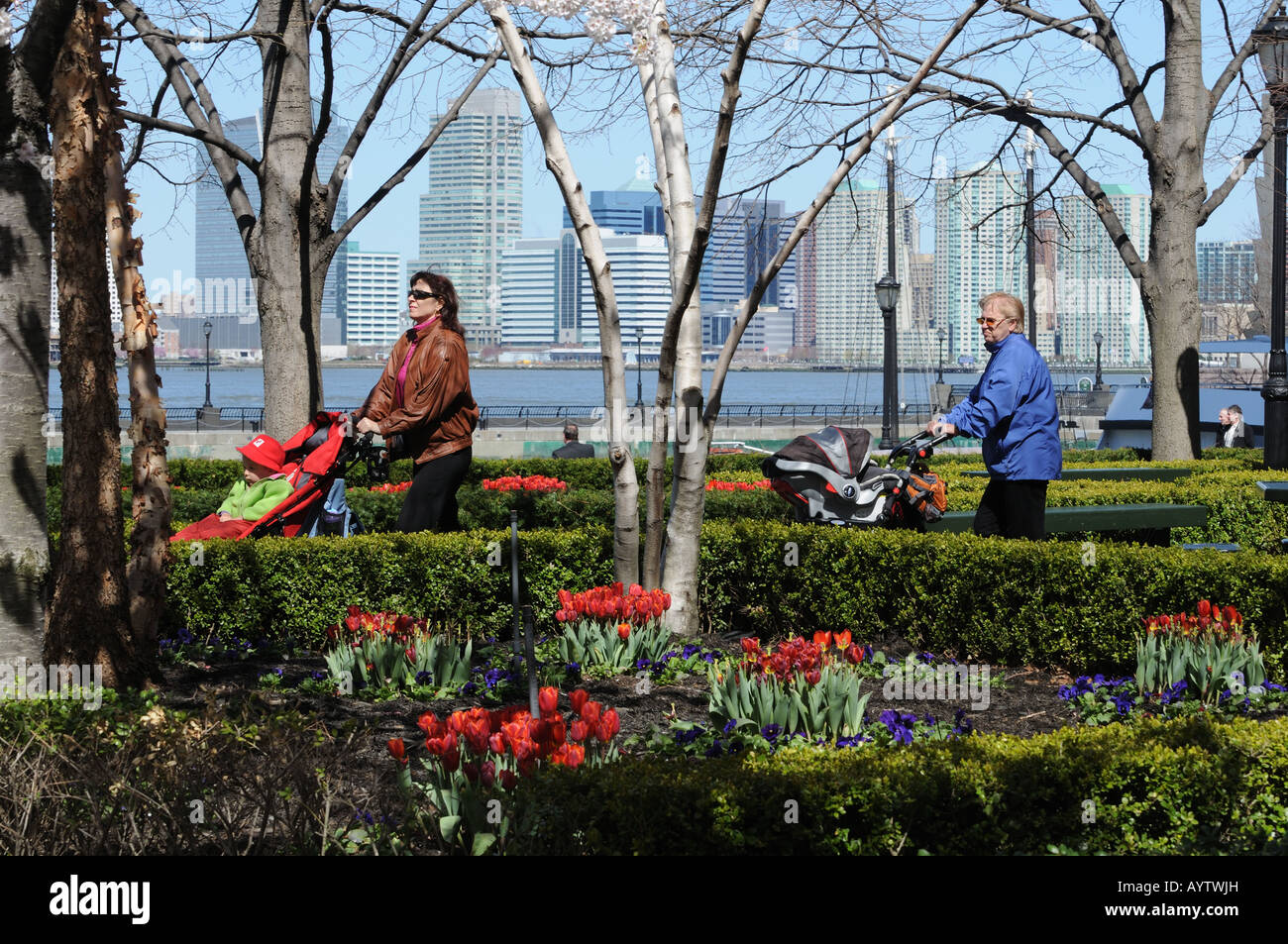 Prams in Battery Park City, a neighborhood in lower Manhattan Stock ...