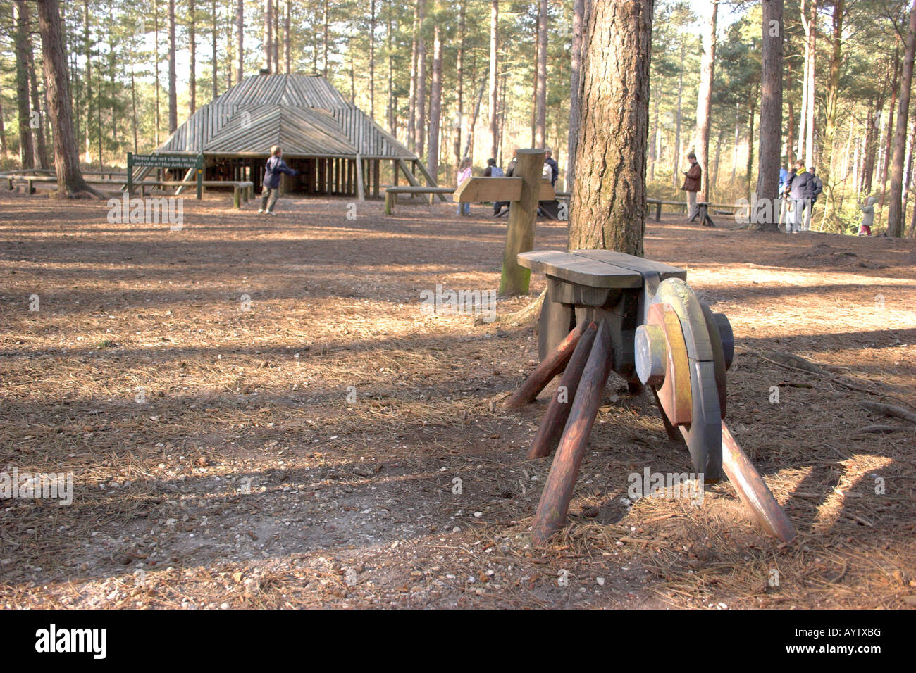 Moors valley forest dorset hi-res stock photography and images - Alamy