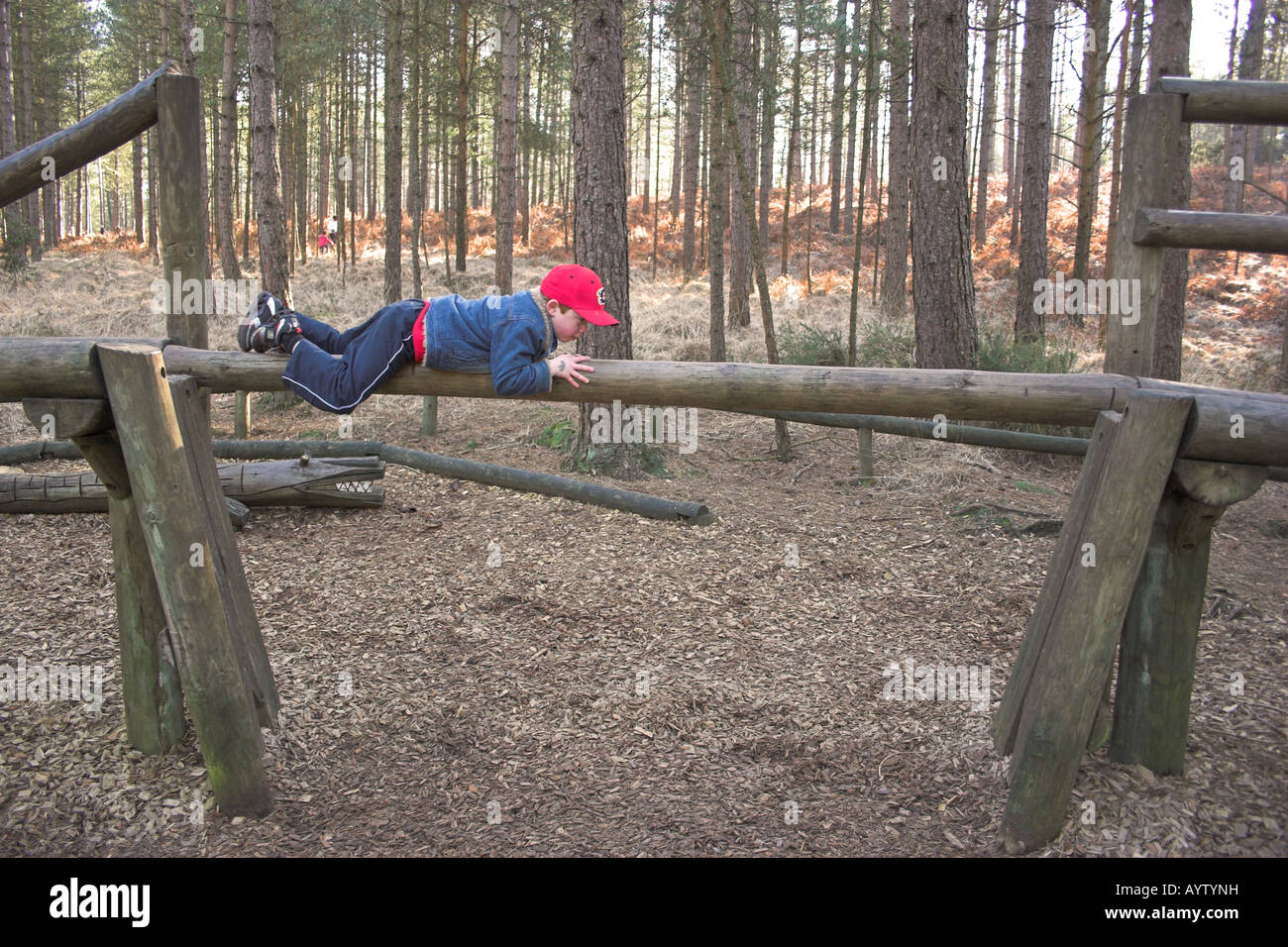 Moors Valley Country Park & Forest Stock Photo - Alamy