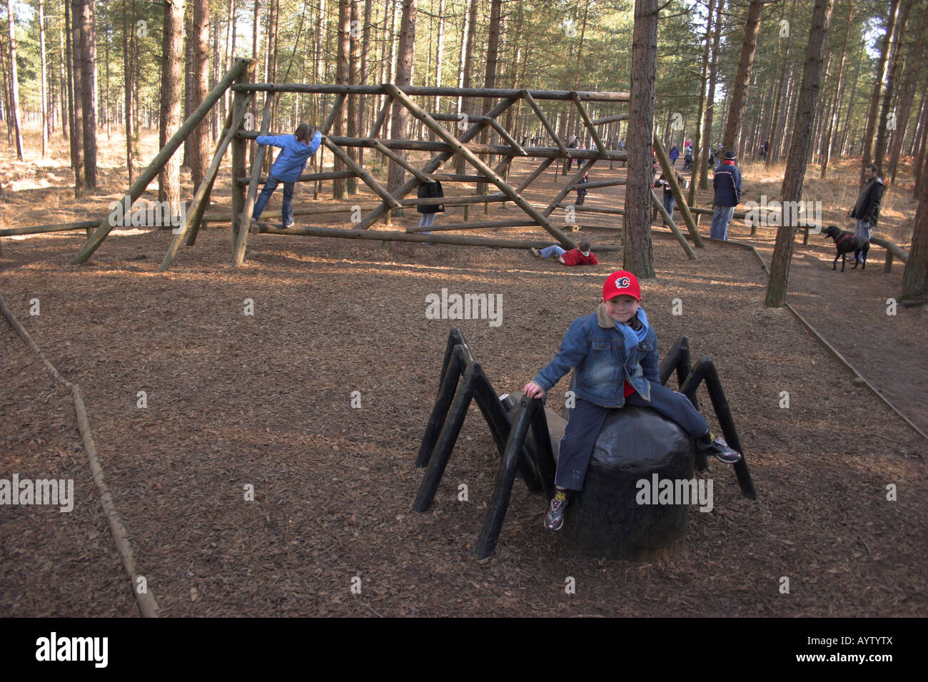 Moors Valley Country Park & Forest Stock Photo - Alamy