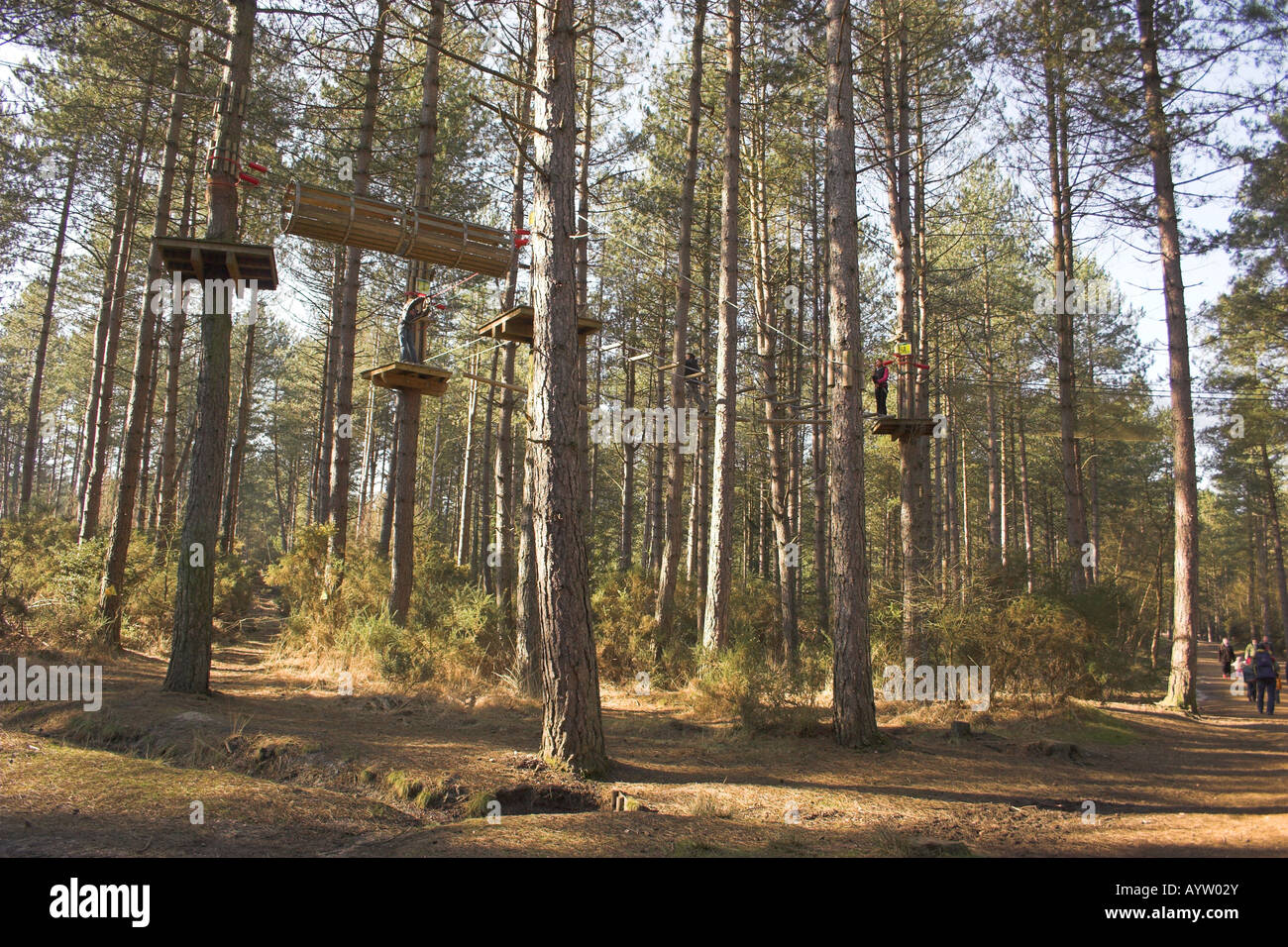 Moors Valley Country Park & Forest Stock Photo - Alamy