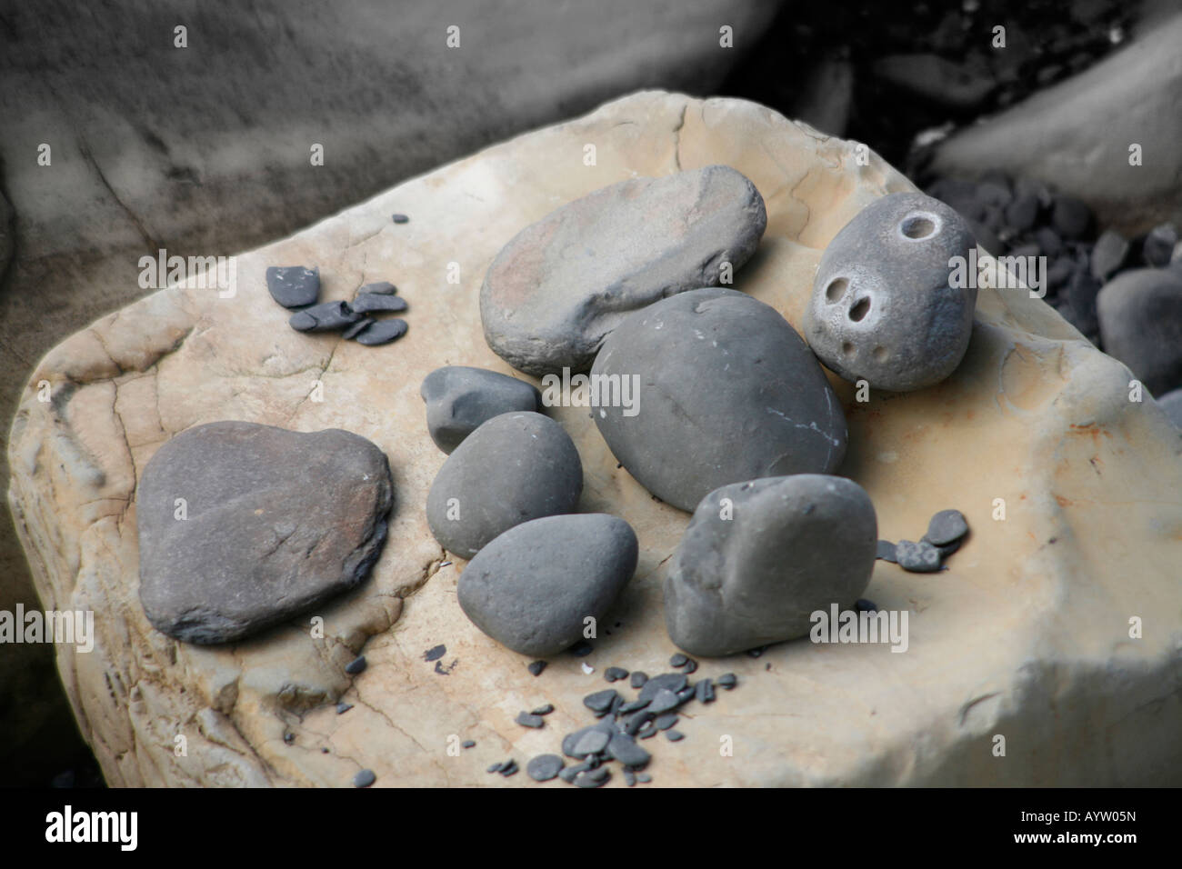 Pebbles, Pebble, Stones, Stone, Rocks, Rock, Different Sizes, Different ...