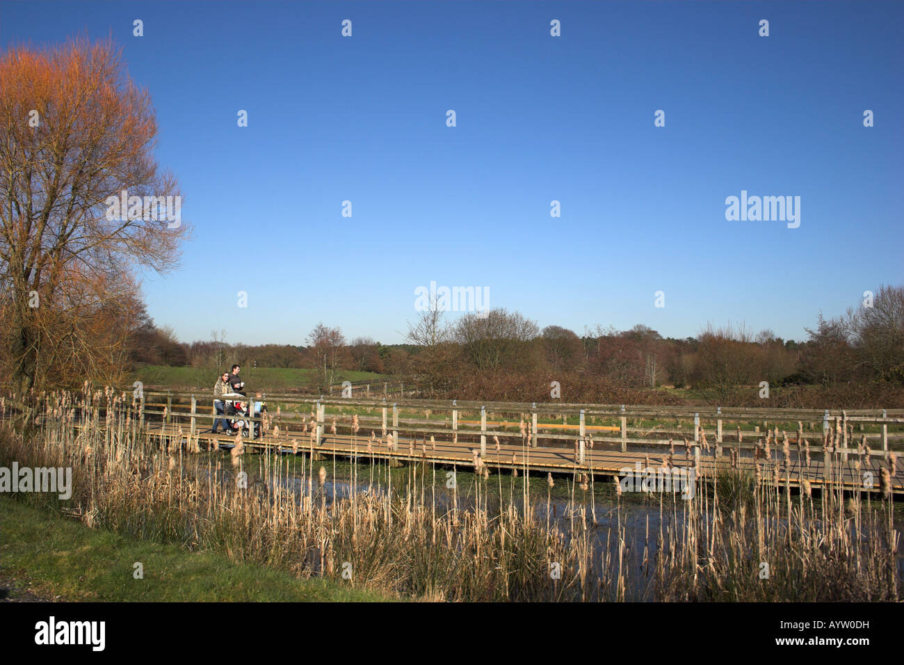 Moors valley country park, dorset hi-res stock photography and images ...