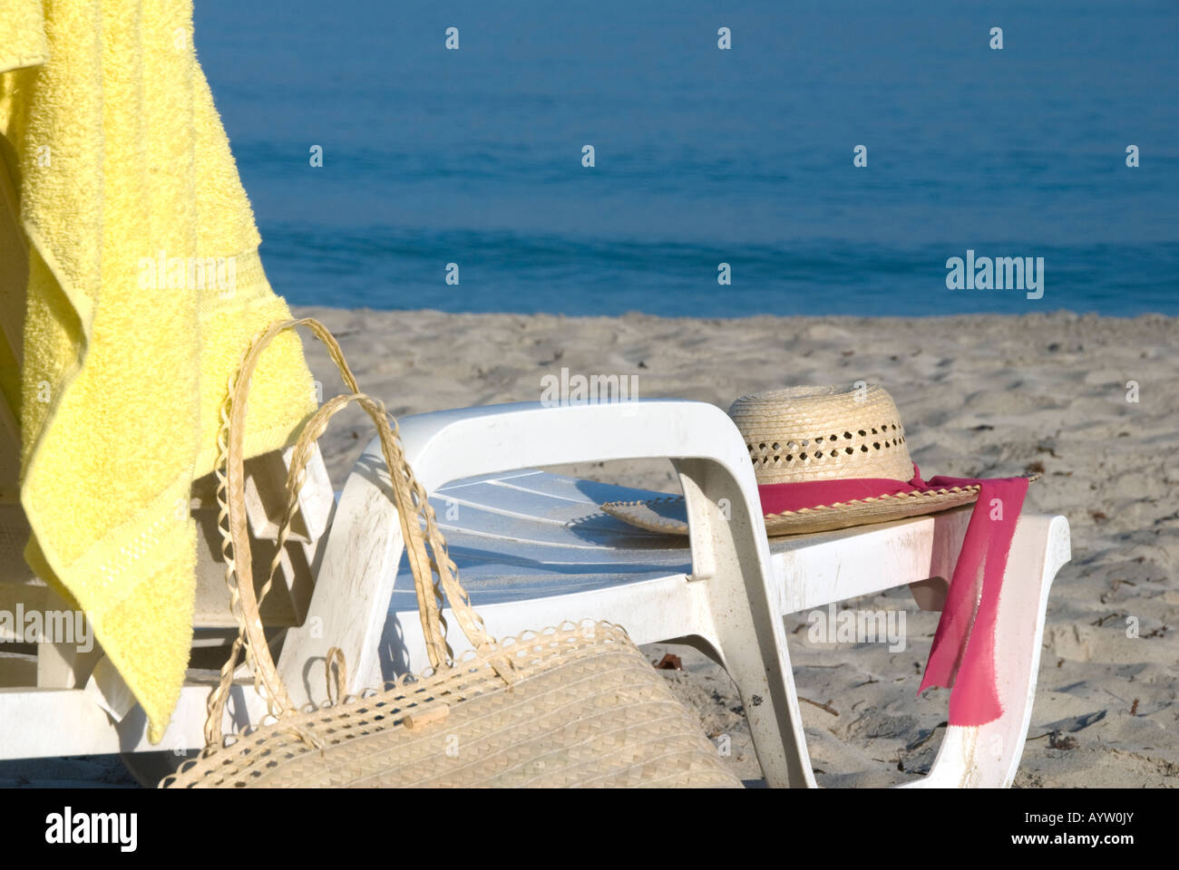 sea still life Stock Photo - Alamy
