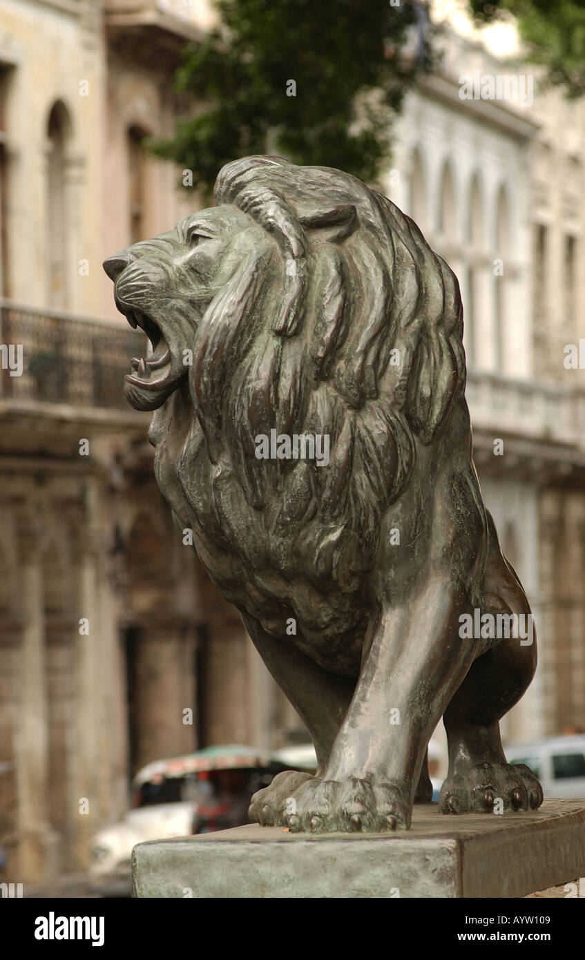 Close up of the statue of a lion Havana Cuba Stock Photo - Alamy