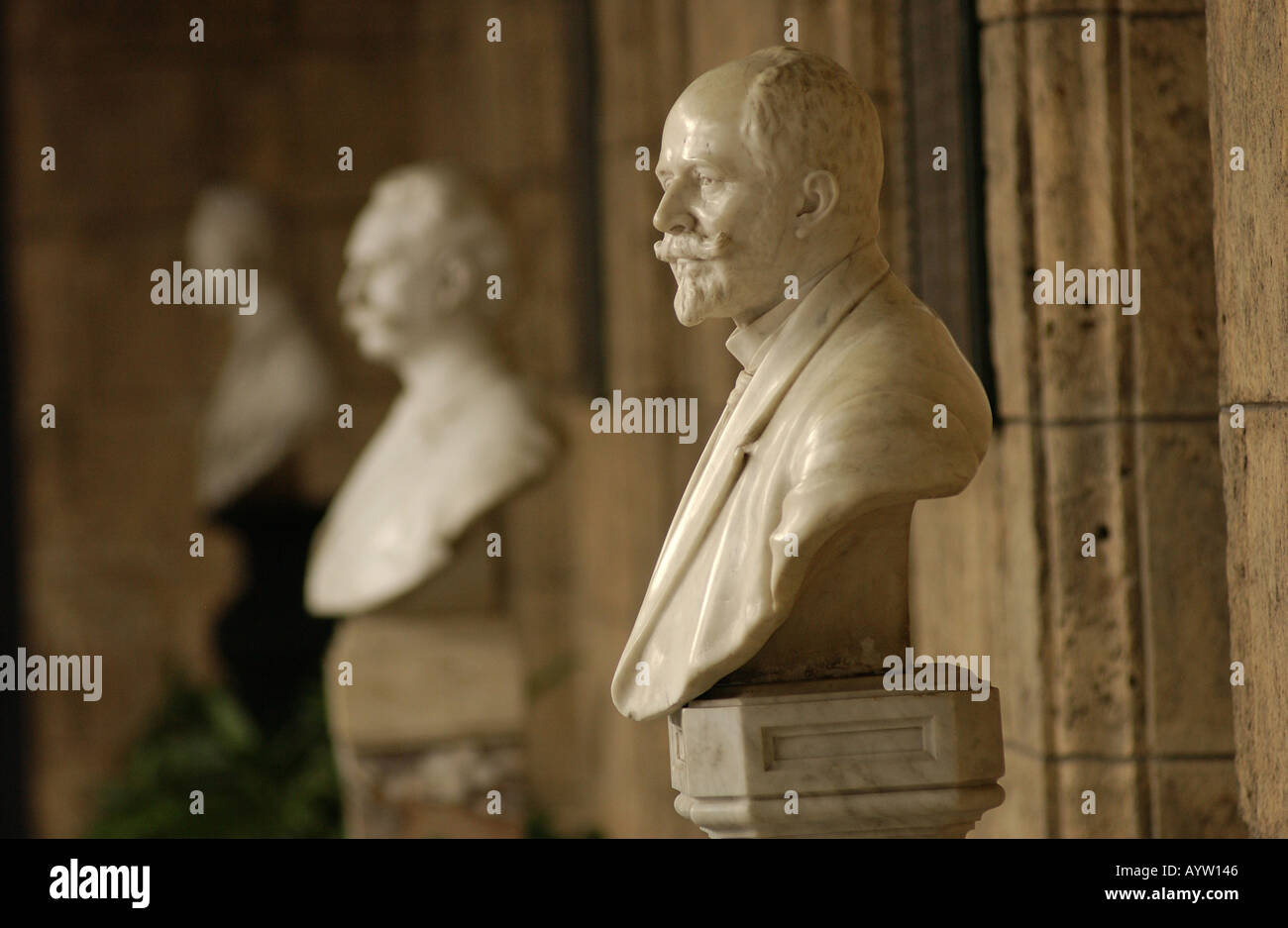 Display of marble busts in a building Havana Cuba Stock Photo - Alamy