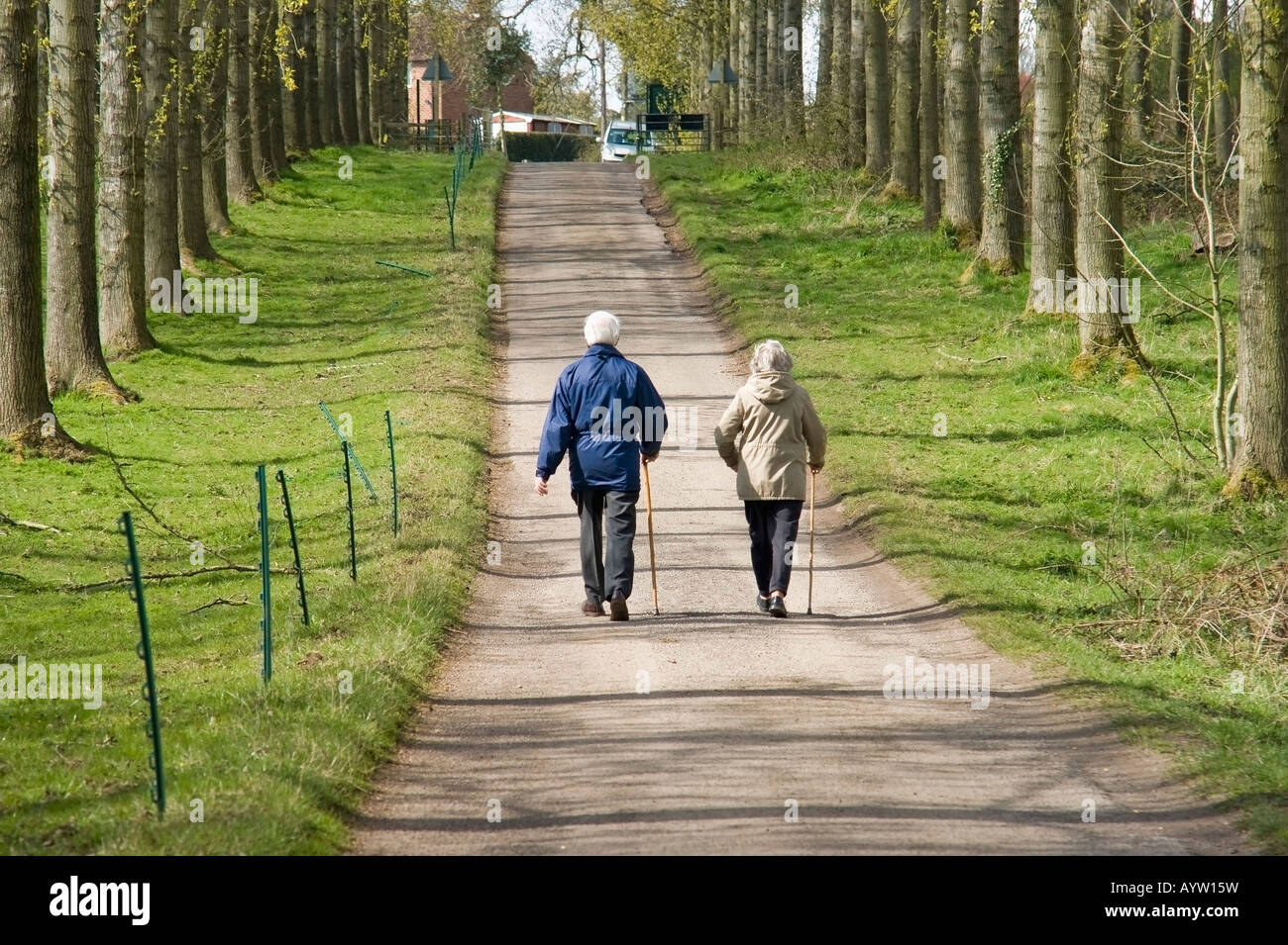 Walkers with trekking pole hi-res stock photography and images - Alamy