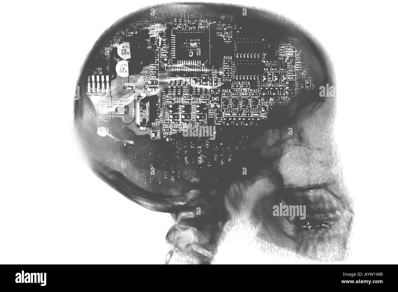Brain machine interfacing hi-res stock photography and images - Alamy