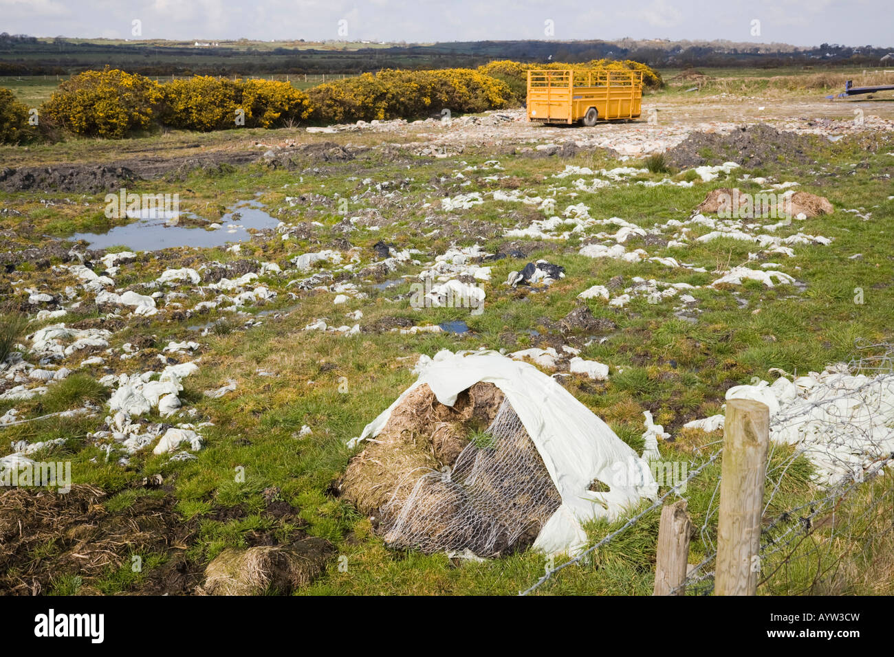 UK April Rural field littered with agricultural plastic rubbish from ...