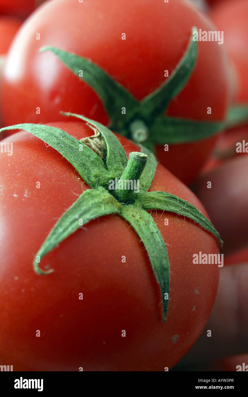 Gross tomato hi-res stock photography and images - Alamy