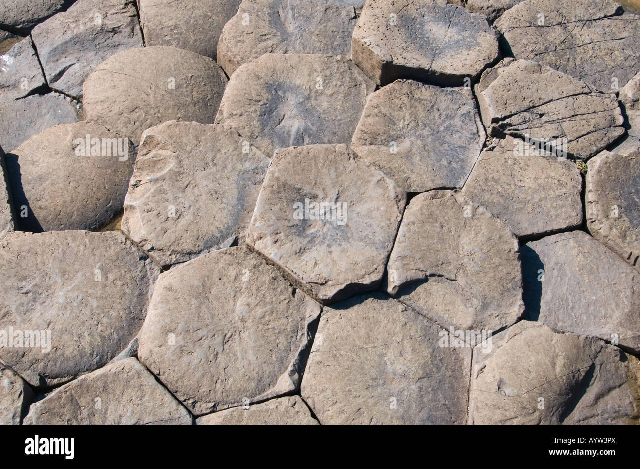 Hexagonal stones hi-res stock photography and images - Alamy