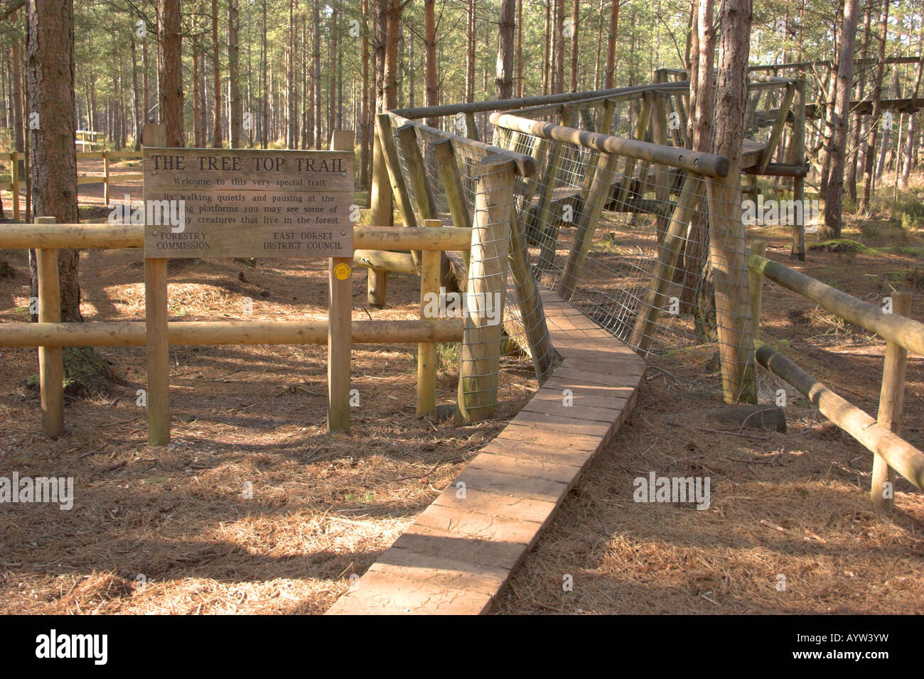 Moors Valley Country Park Dorset High Resolution Stock Photography and ...
