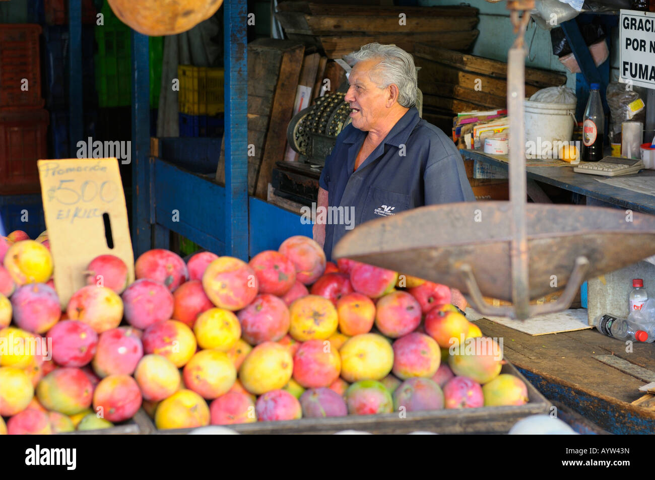 Produce shop owner with Mangos and weigh scale in San Jose market area ...