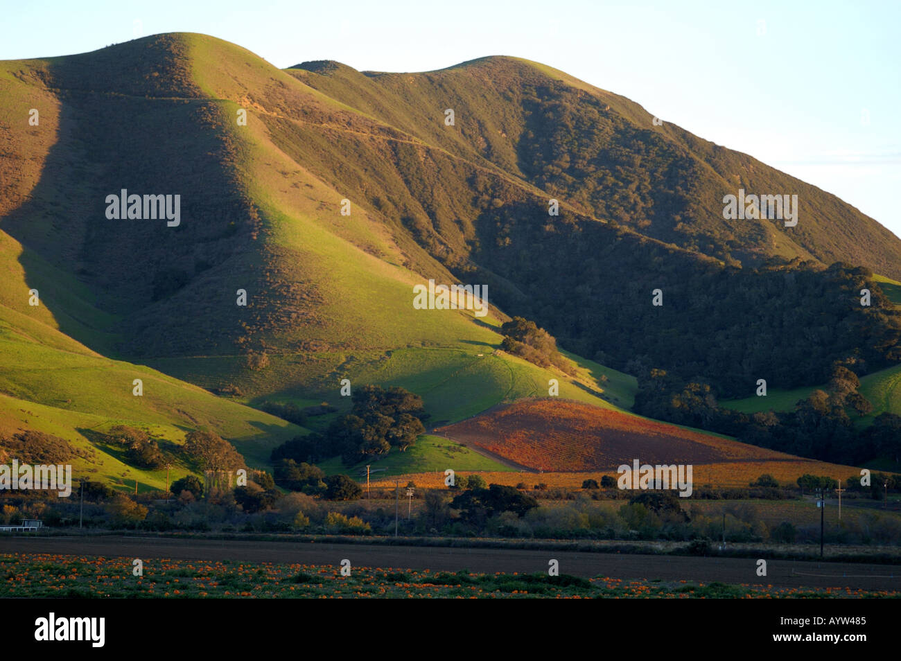 Buellton farm hi-res stock photography and images - Alamy