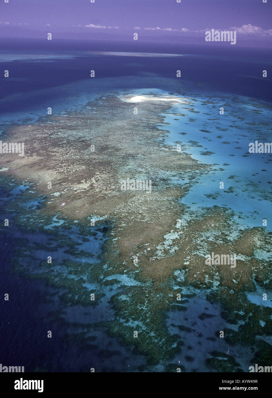 Beautiful great barrier reef hi-res stock photography and images - Alamy
