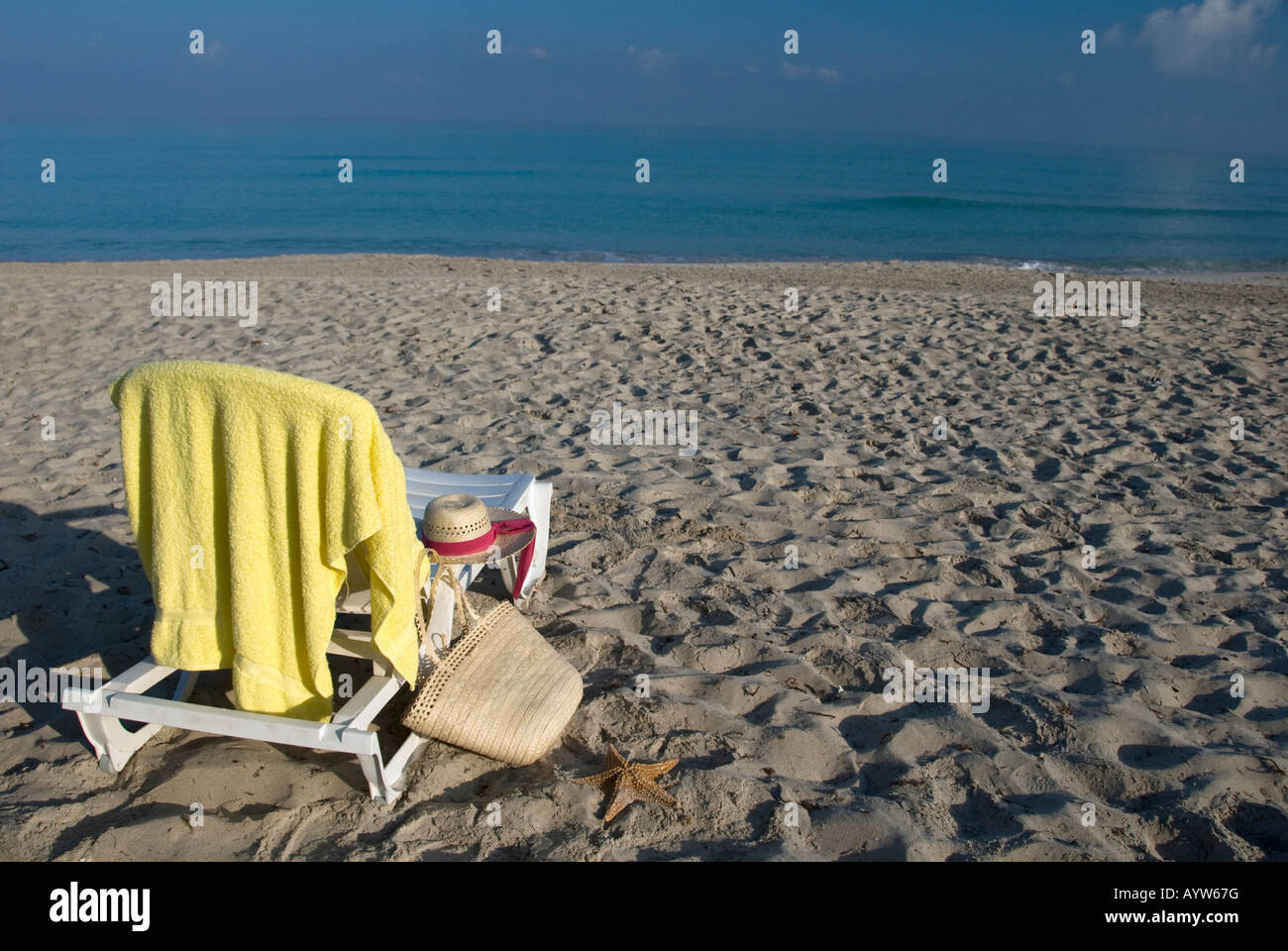 sea still life Stock Photo - Alamy