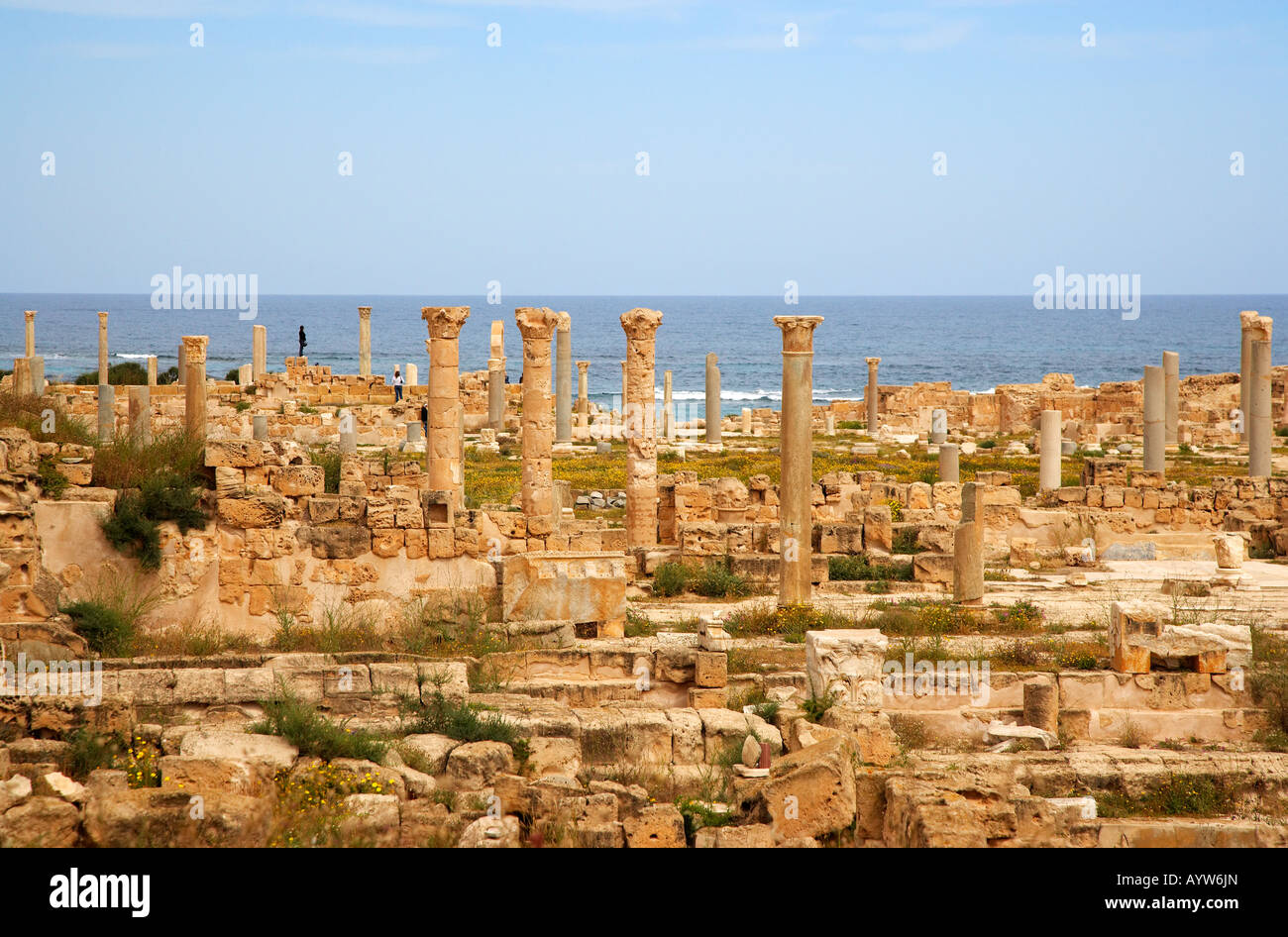 The Ancient Roman City of Sabratha, Libya Stock Photo - Alamy