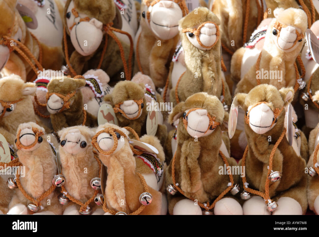 Stuffed camels in Lanzarote Stock Photo - Alamy