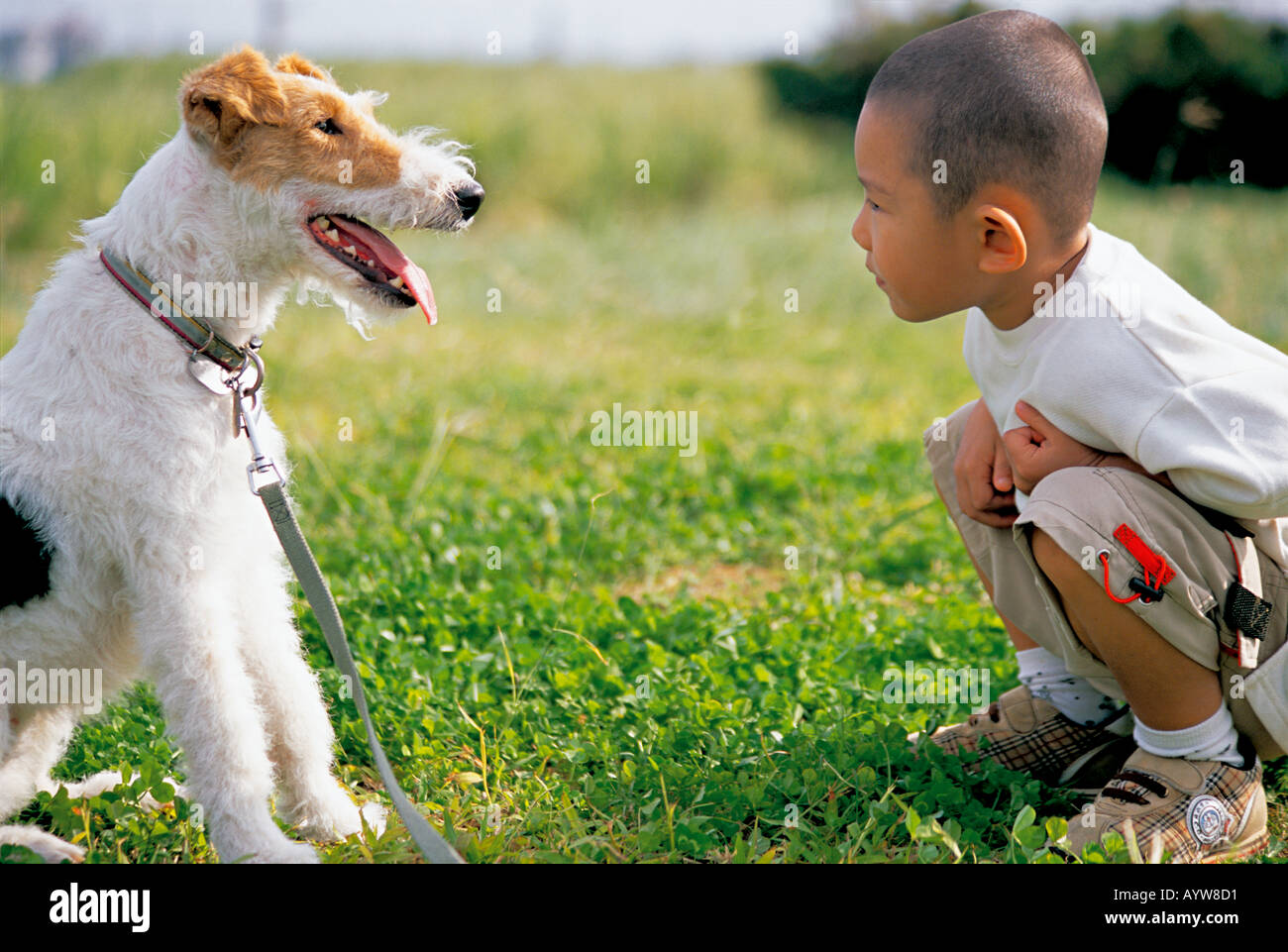 Boy with a dog Stock Photo - Alamy